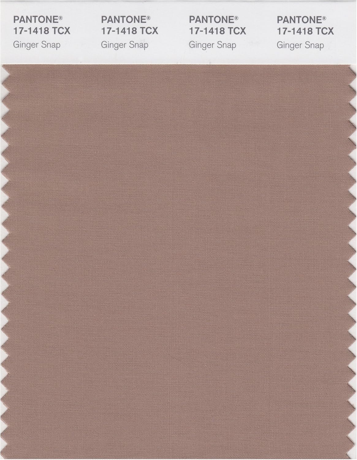 PANTONE Smart 17-1418X Color Swatch Card, Ginger Snap - House Paint ...