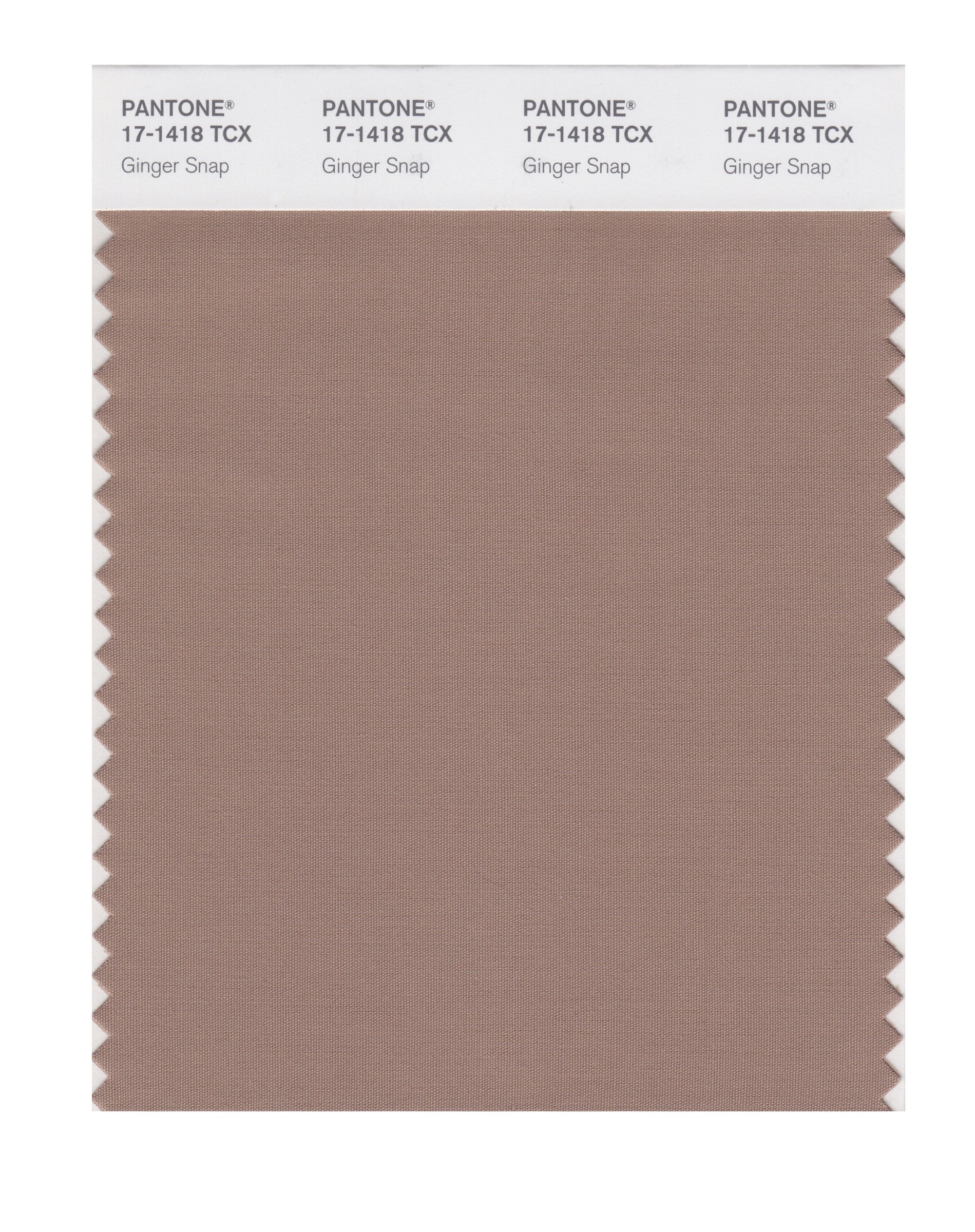 PANTONE Smart 17-1418X Color Swatch Card, Ginger Snap - House Paint ...