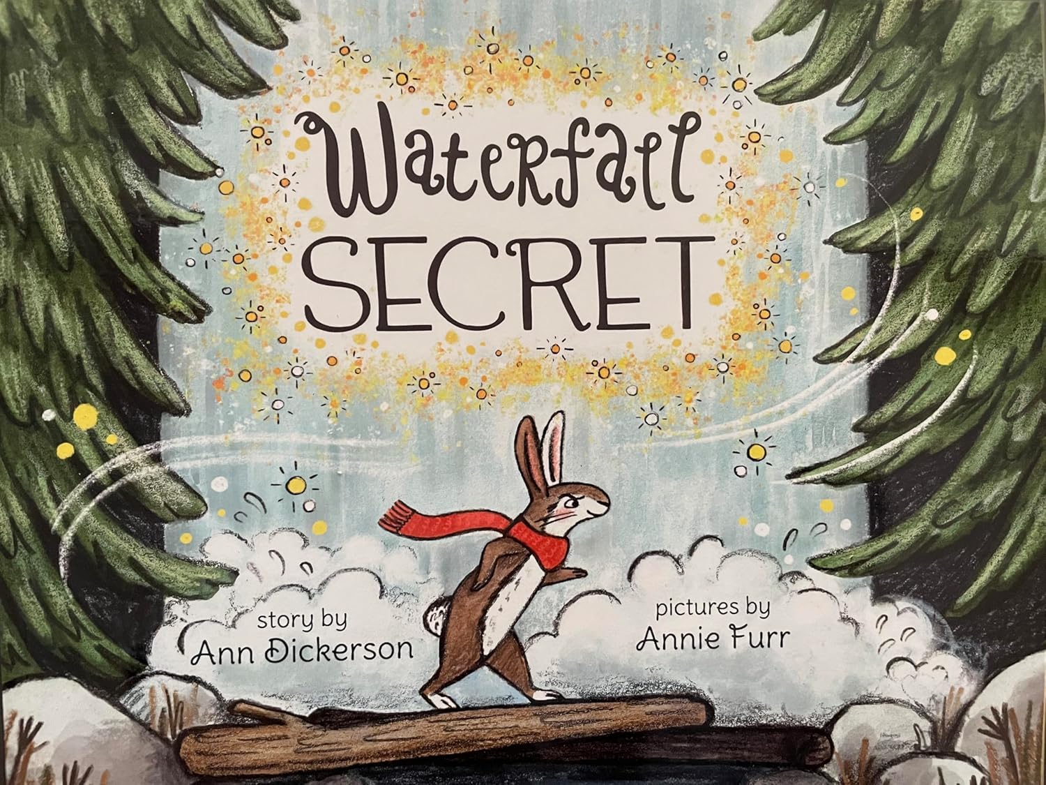 Waterfall Secret, Children's Picture Book, Story by Ann Dickerson ...