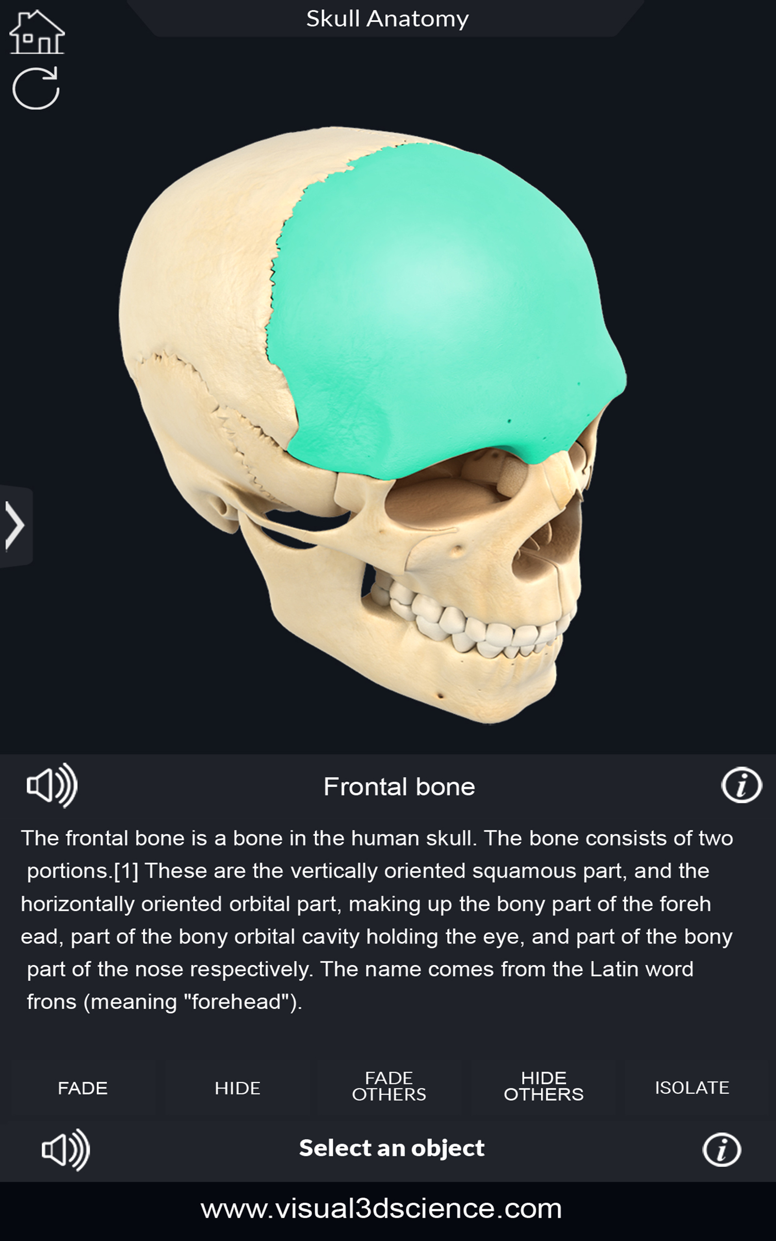My Skull Anatomy - App on Amazon Appstore