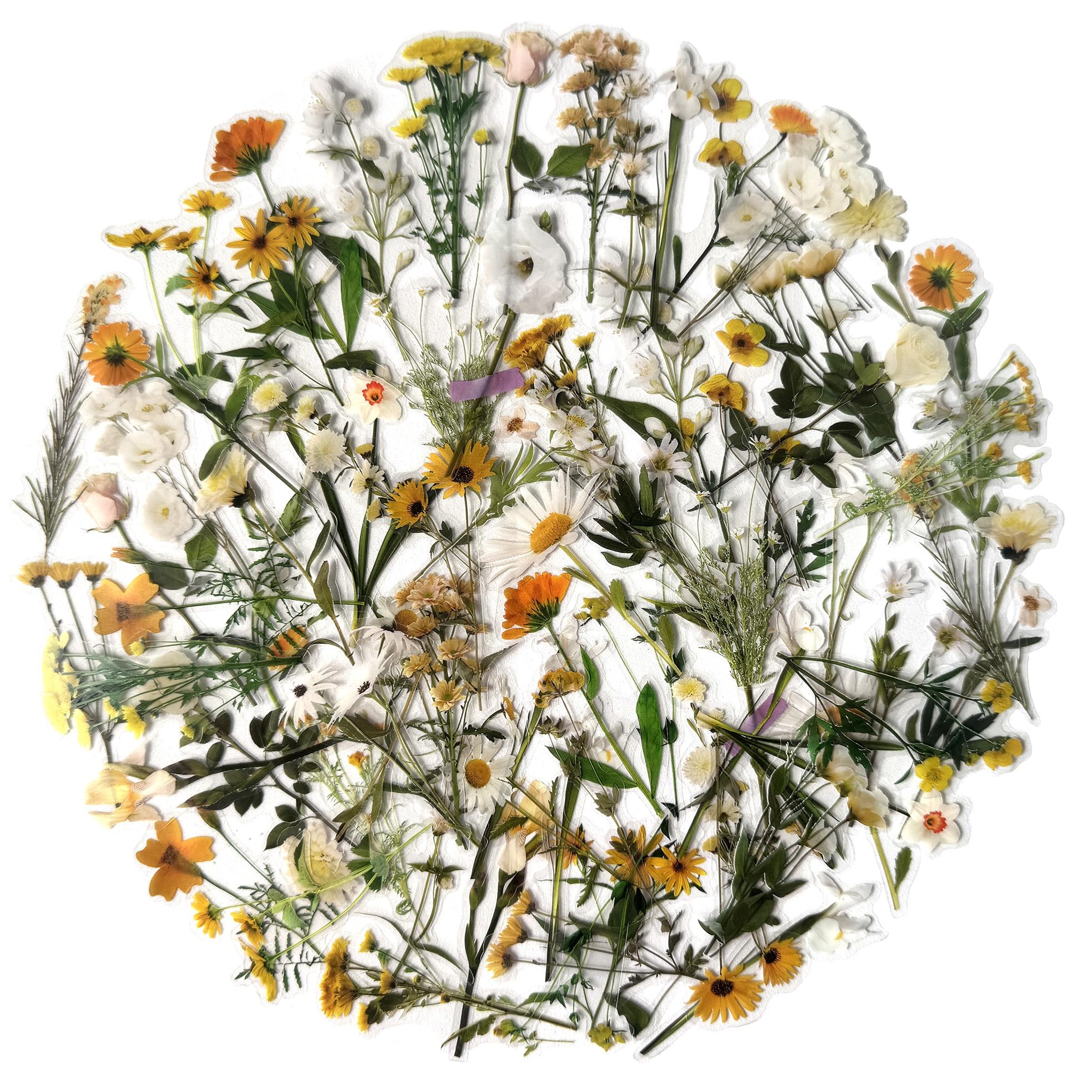 Amazon.com: Maxleaf 80 Pieces Natural Vintage Flower Stickers, Self ...