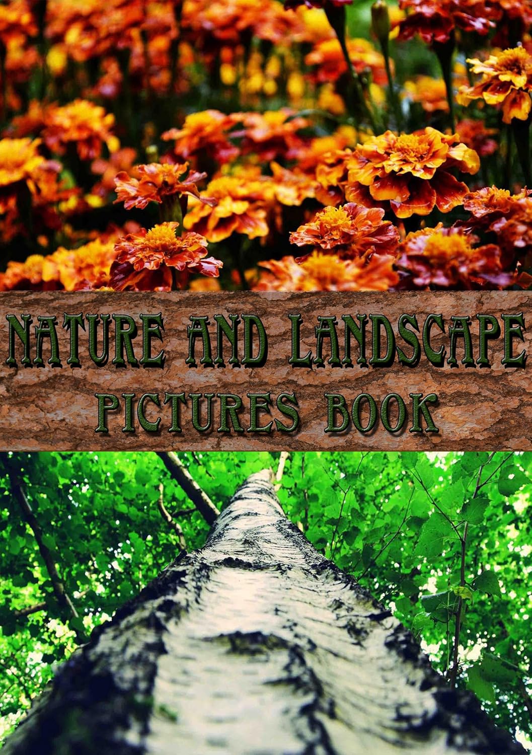 Nature and Landscape 2: Pictures Book - Kindle edition by Fisher ...