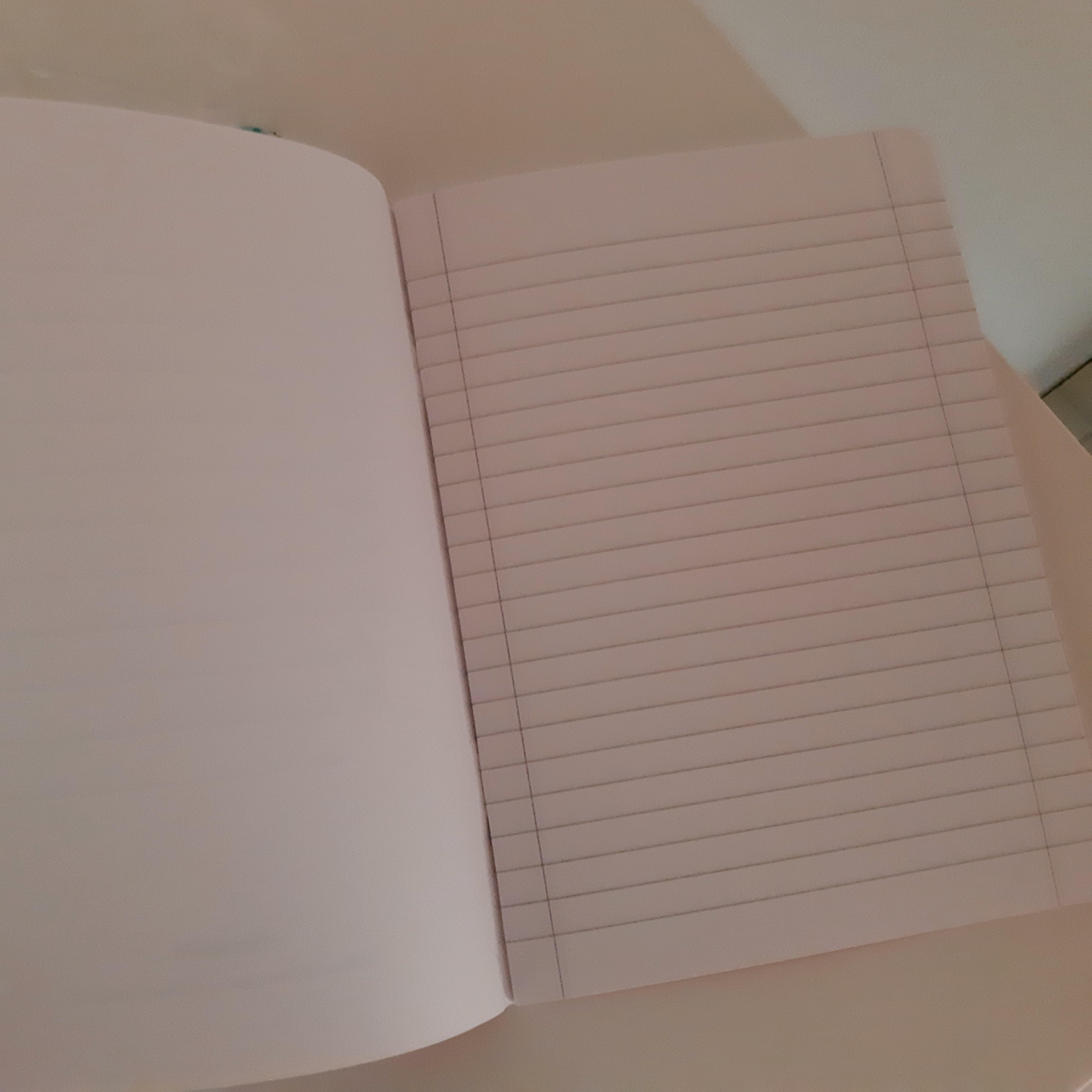 Blasetti One Color - Quaderno a righe formato A5, Rigatura 0C, Righe ...