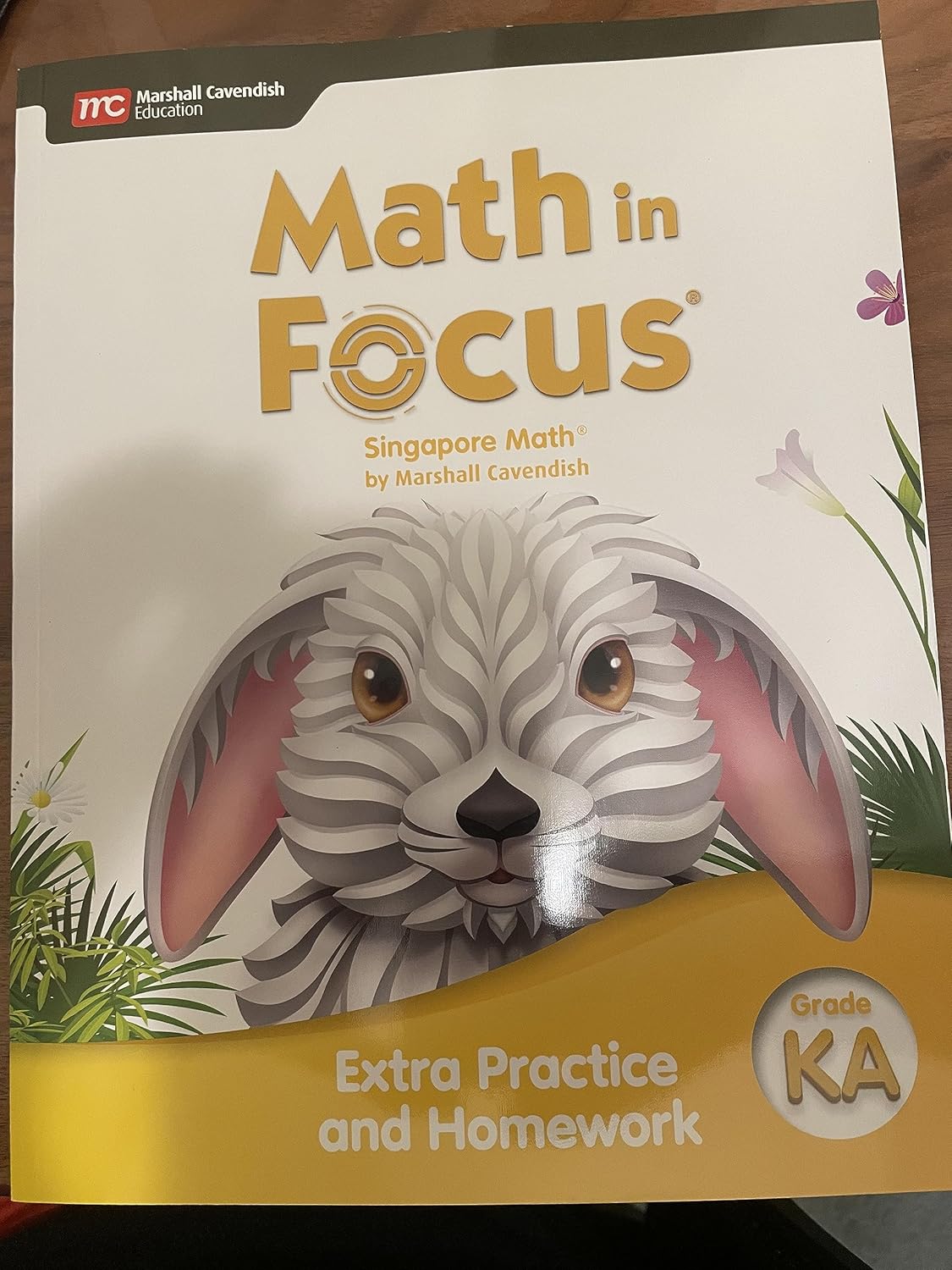 Extra Practice and Homework Volume A Grade K (Math in Focus): Houghton ...
