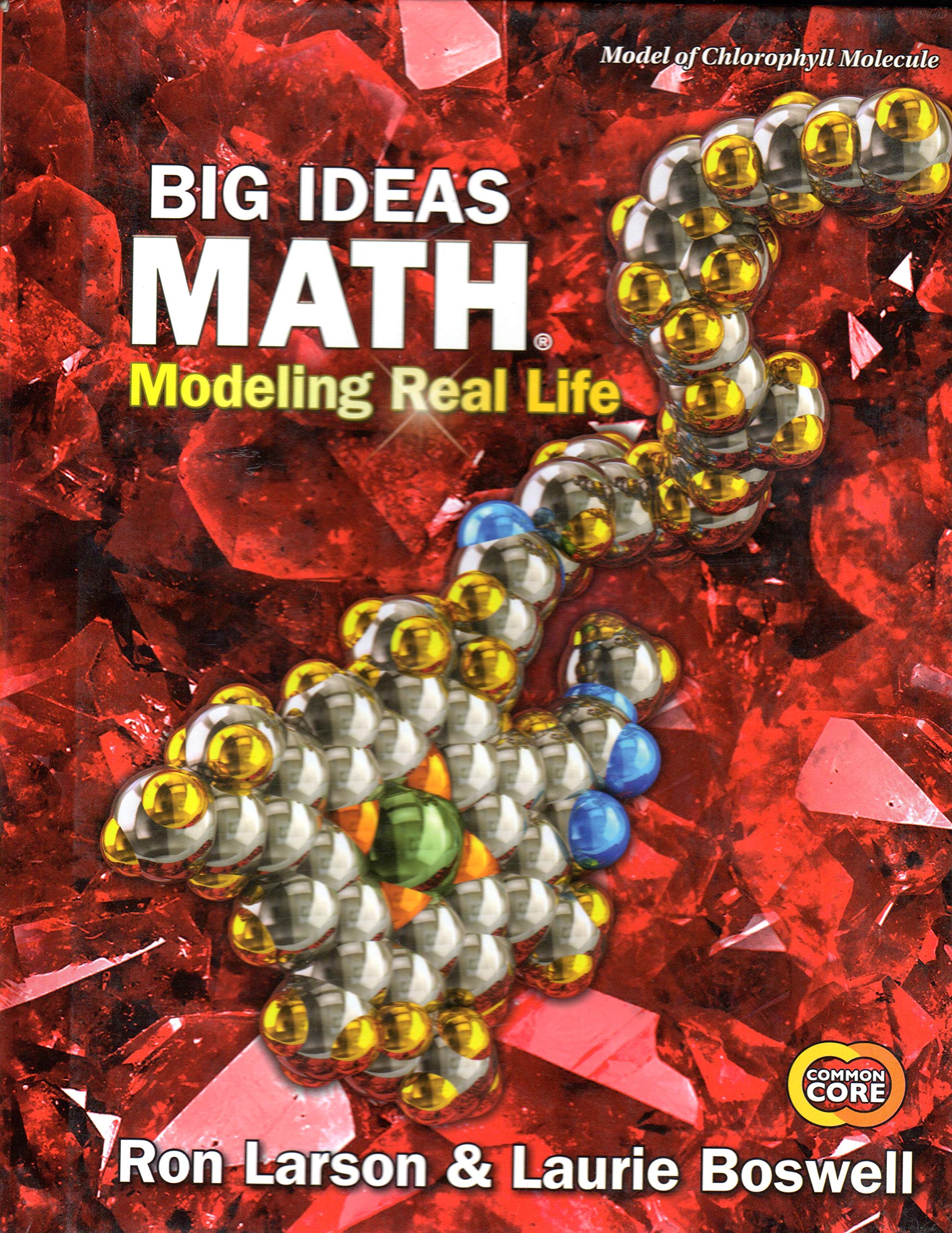 Amazon.com: BIG IDEAS MATH - Modeling Real Life - Grade 7 Common Core ...