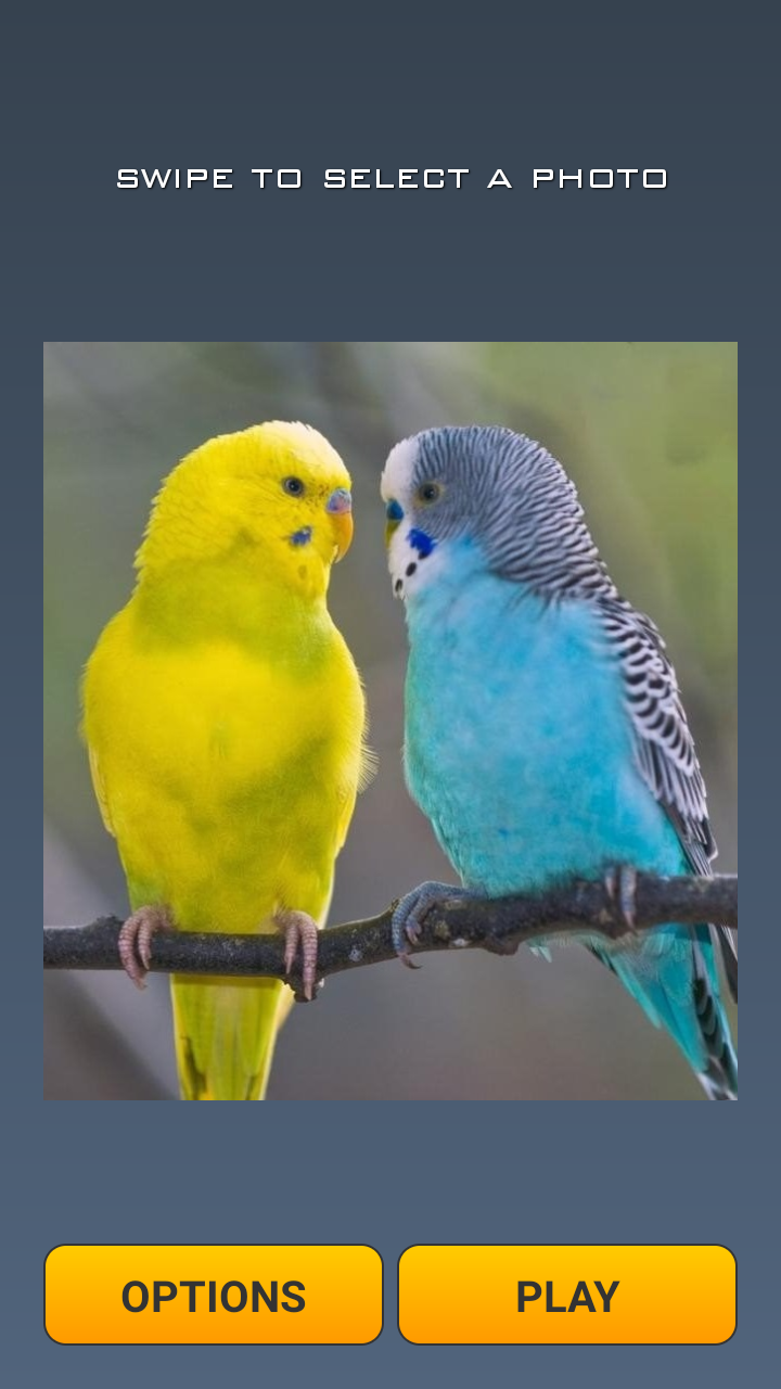 Cute Birds Puzzle - App on Amazon Appstore