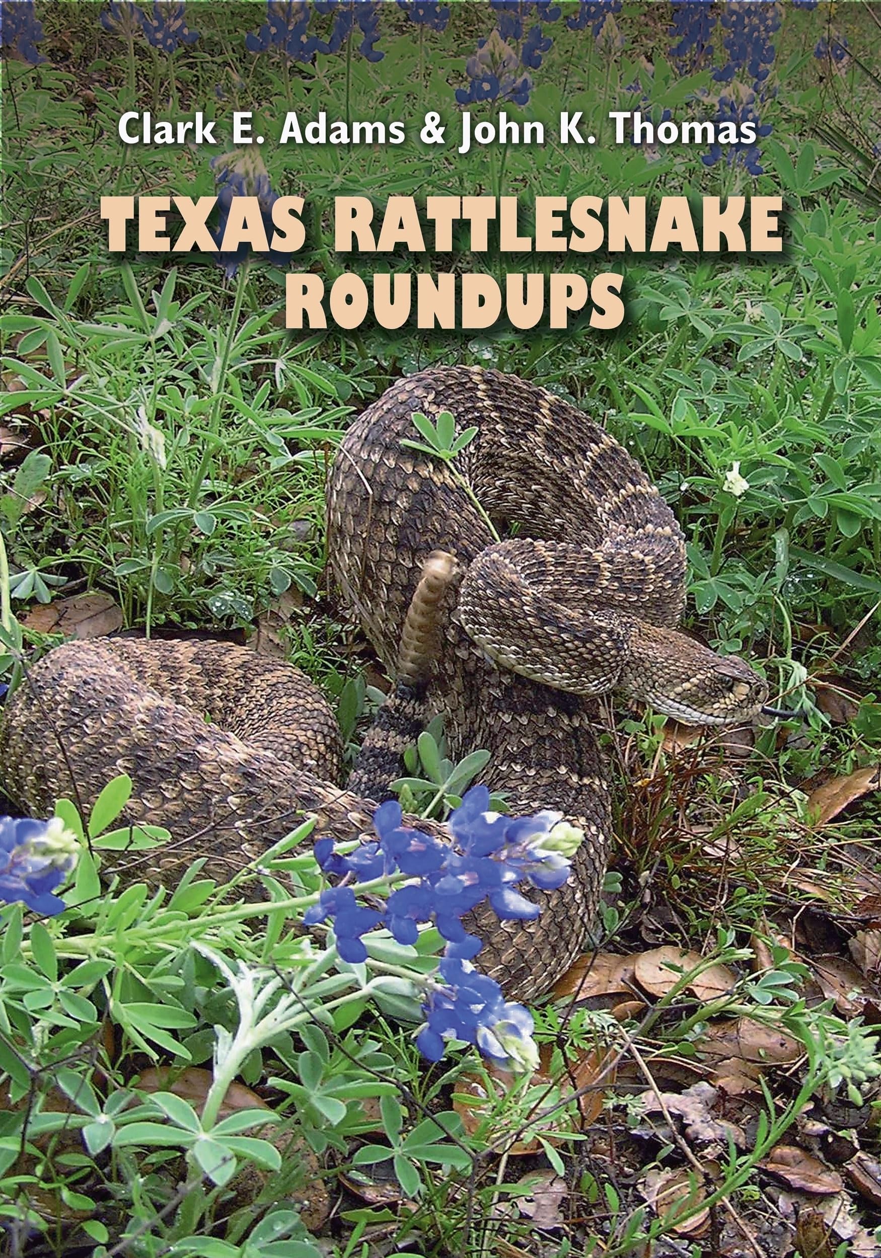 Texas Rattlesnake Roundups: Adams, Clark E., Thomas, John K ...