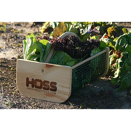 Amazon.com : Hoss Tools Garden Hod | Vegetable Washing and Harvesting ...