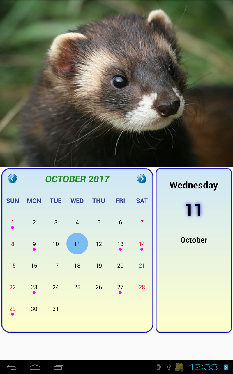 Calendar My Ferret - App on Amazon Appstore