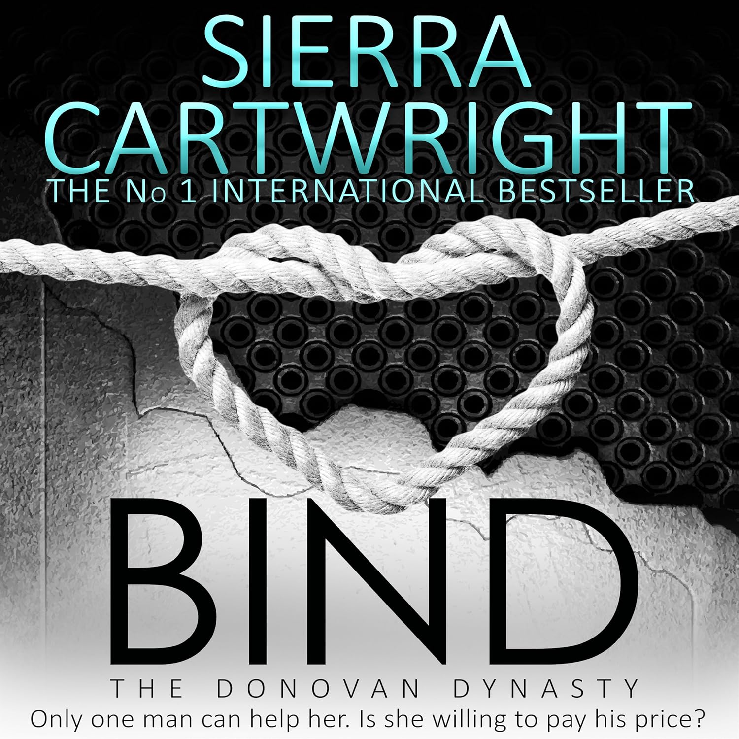 Amazon.com: Bind: The Donovan Dynasty, Book 1 (Audible Audio Edition ...