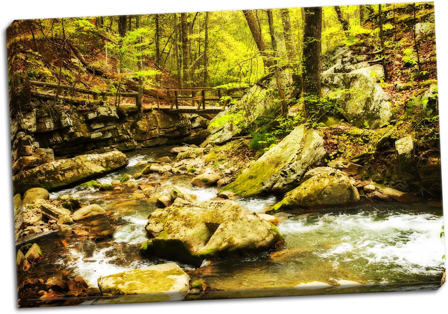 Amazon.com: Gango Home Décor Covington Woods II, Fine Art Photograph By ...