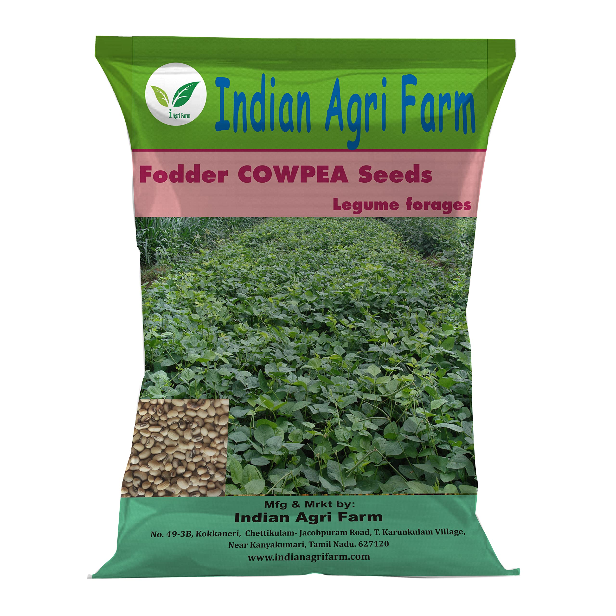 Iagrifarm Fodder Cowpea Seed - 1 Kg - for Fodder Cultivation : Amazon ...