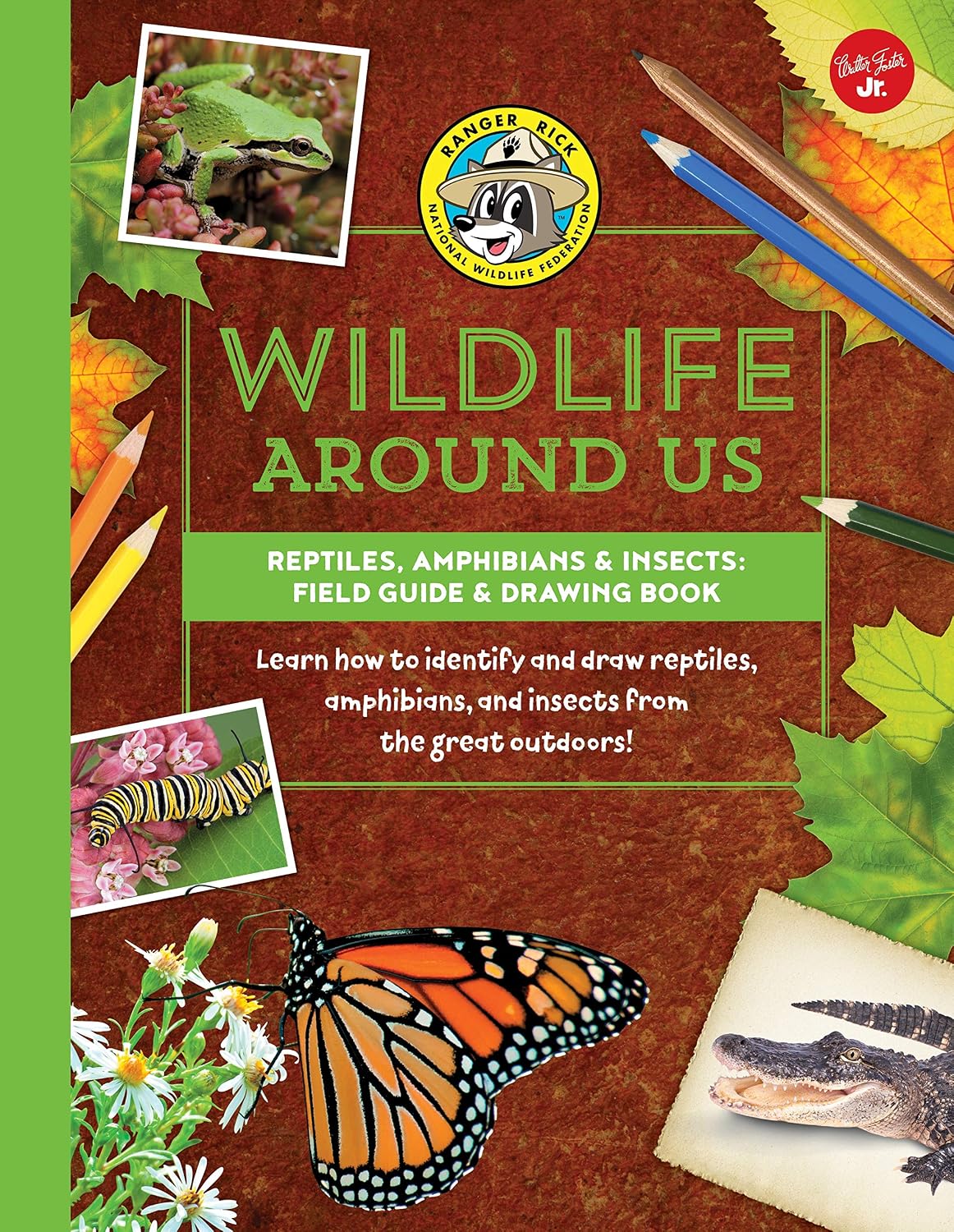 Reptiles, Amphibians & Insects: Field Guide & Drawing Book: Learn How ...