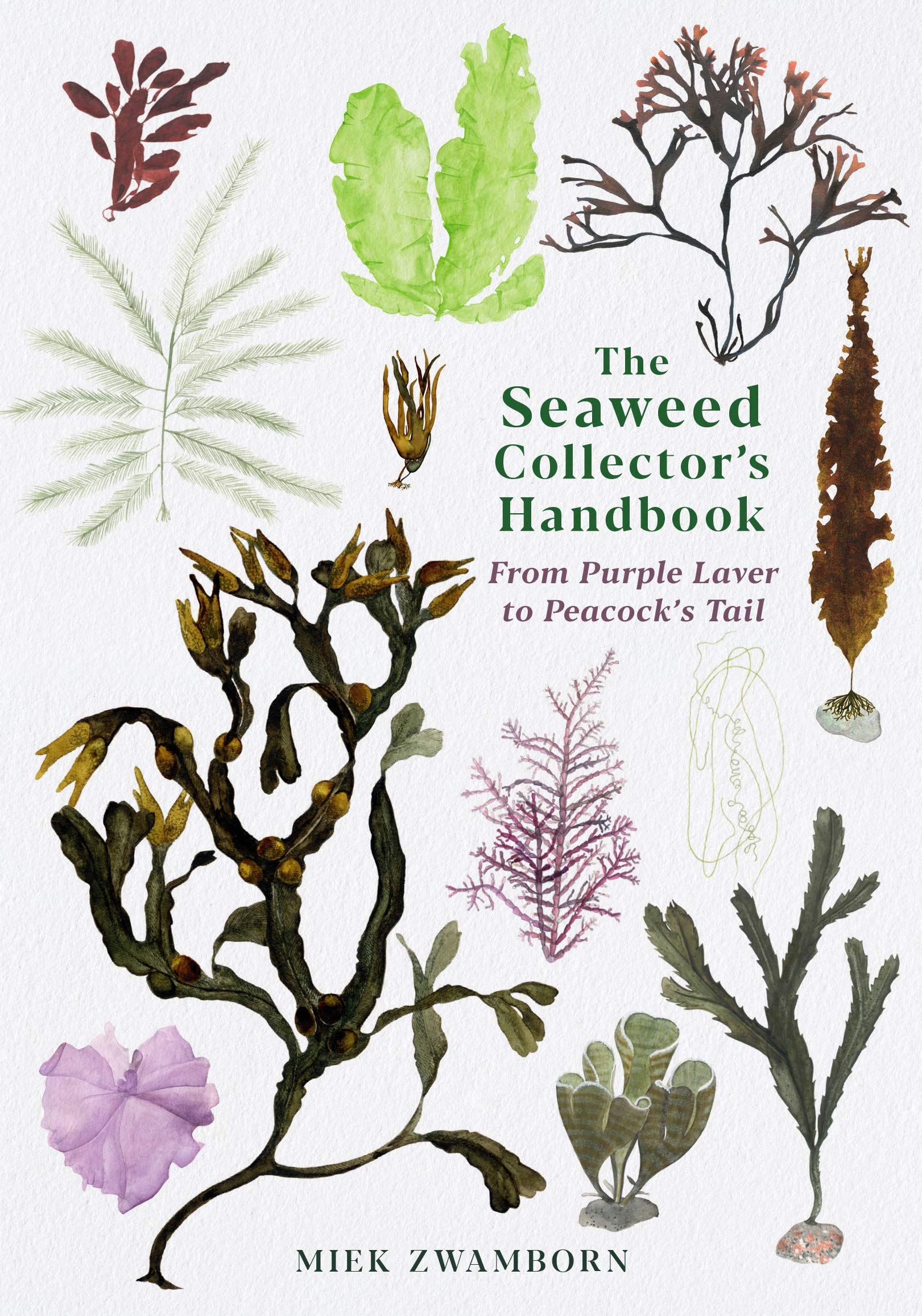 The Seaweed Collector's Handbook: From Purple Laver to Peacock’s Tail ...