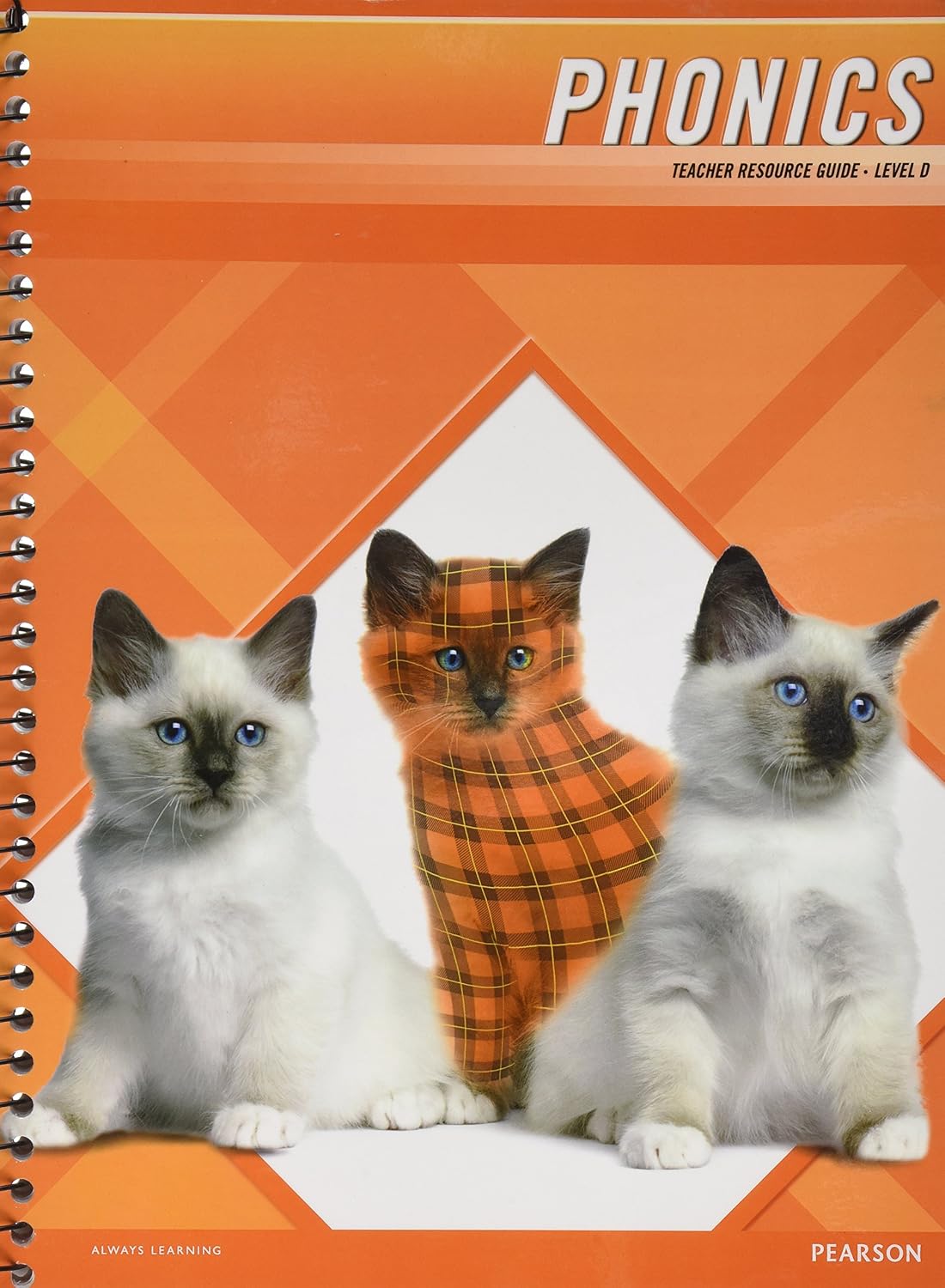 PLAID PHONICS 2011 WORD STUDY TEACHER RESOURCE GUIDE LEVEL D: Pearson ...