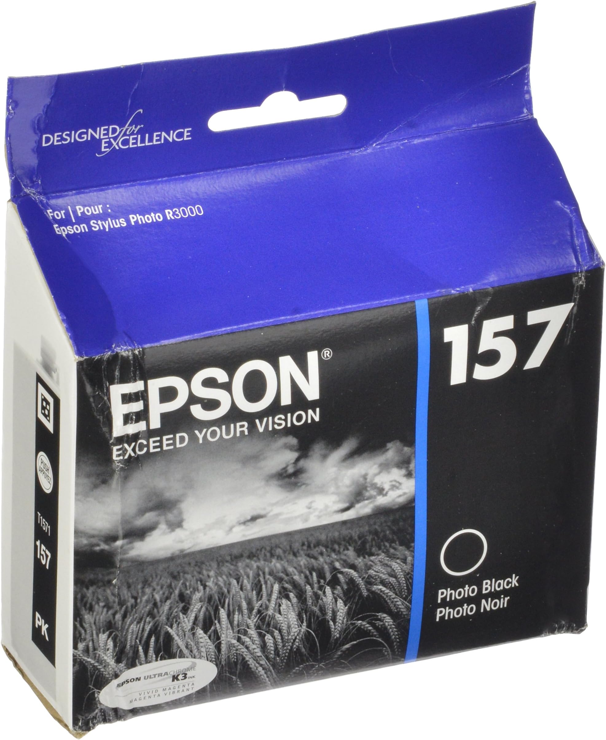 Amazon.com: Epson T096720 Stylus Photo R2880 Printer UltraChrome K3 Ink ...