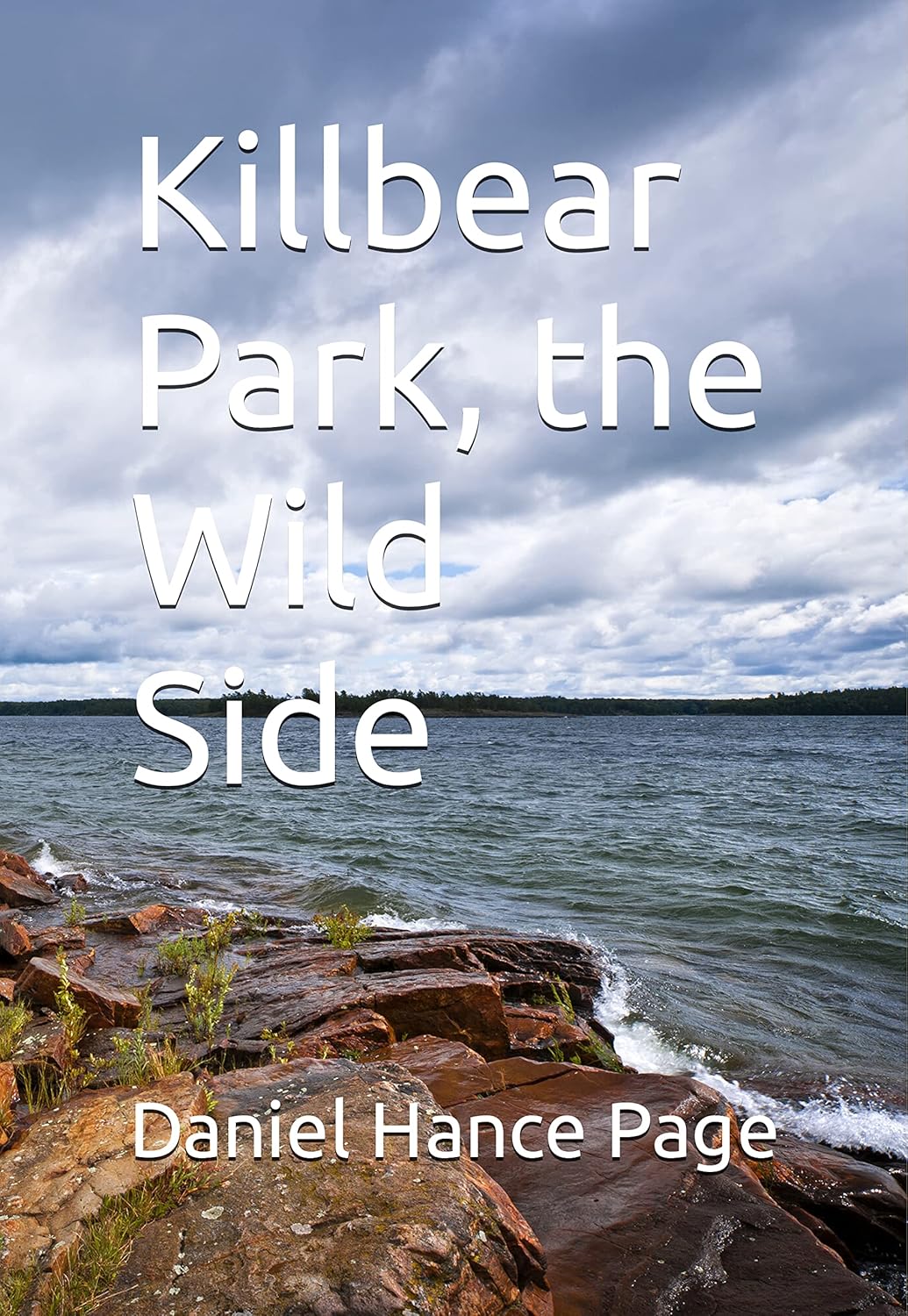Killbear Park, the Wild Side - Kindle edition by Page, Daniel ...