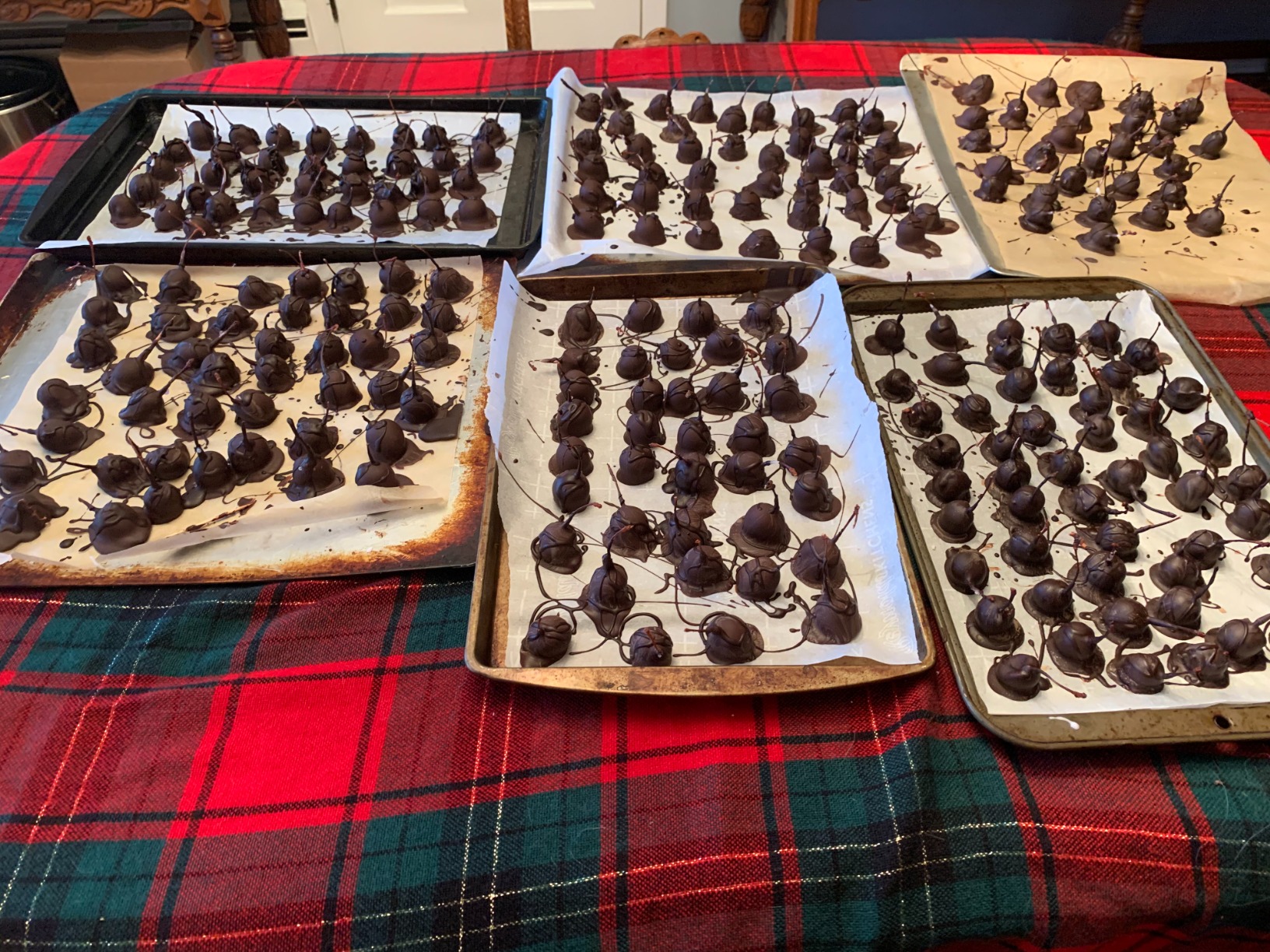 Amazon.com : Royal Harvest Bordeaux Maraschino Cherries With Stems, 72 ...