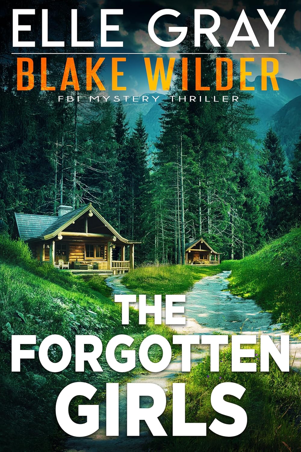 Amazon.com: The Forgotten Girls (Blake Wilder FBI Mystery Thriller Book ...