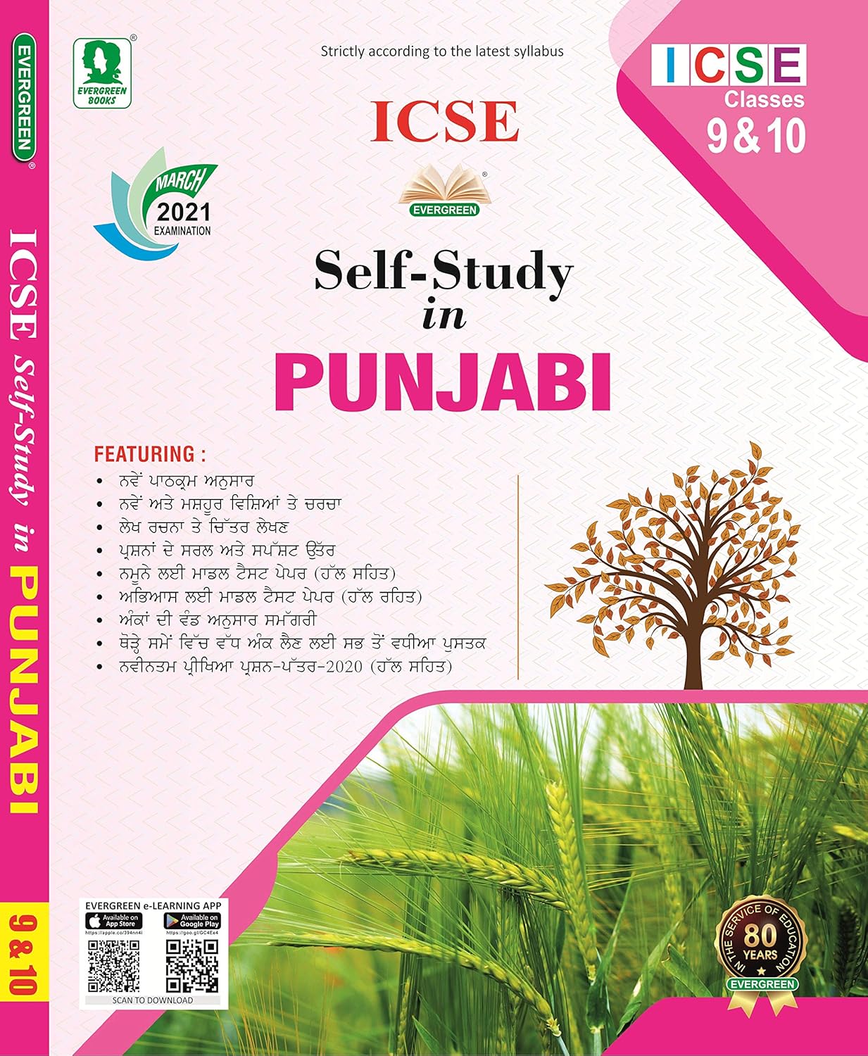 Amazon.in: Buy Evergreen ICSE Self Study In Punjabi: For 2021 ...