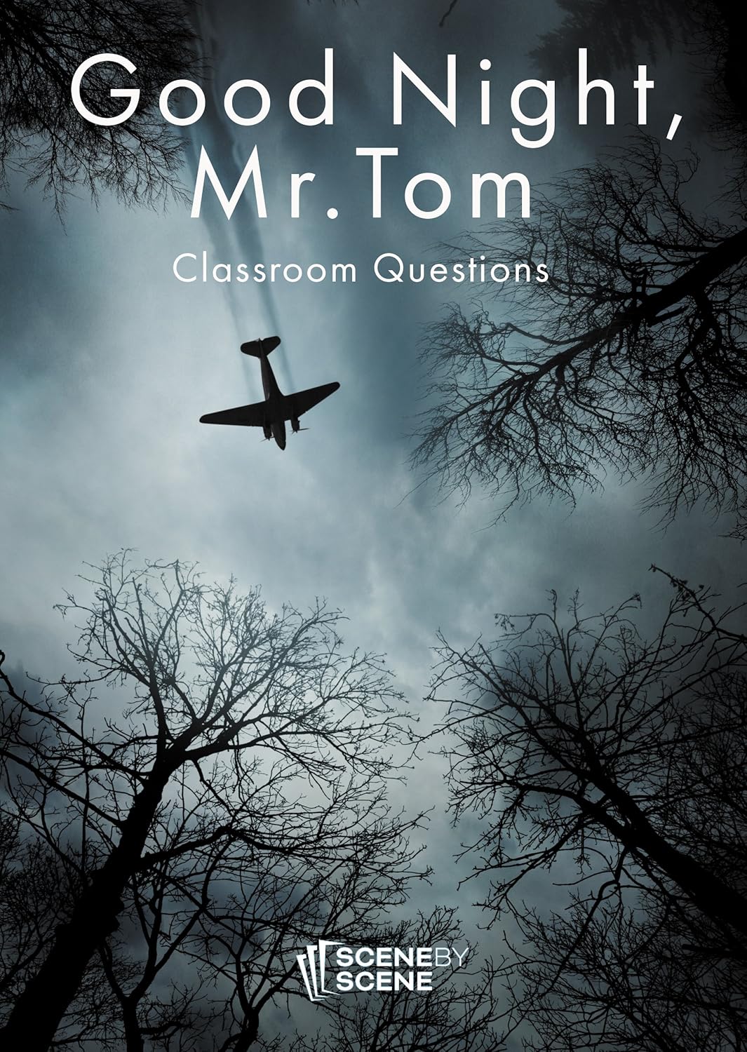 Good Night, Mr. Tom Classroom Questions eBook : Farrell, Amy: Amazon.co ...