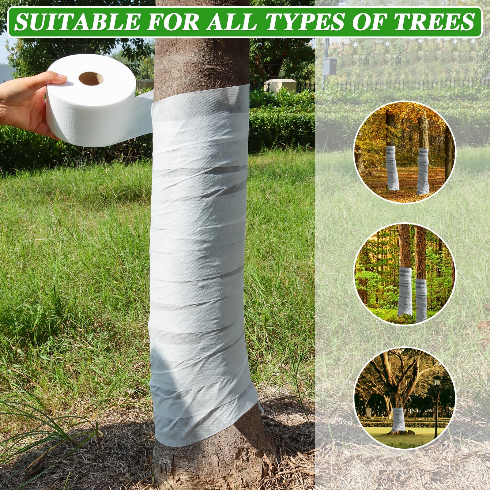 나무 줄기 랩(Tree Trunk Wraps) : 네이버 블로그