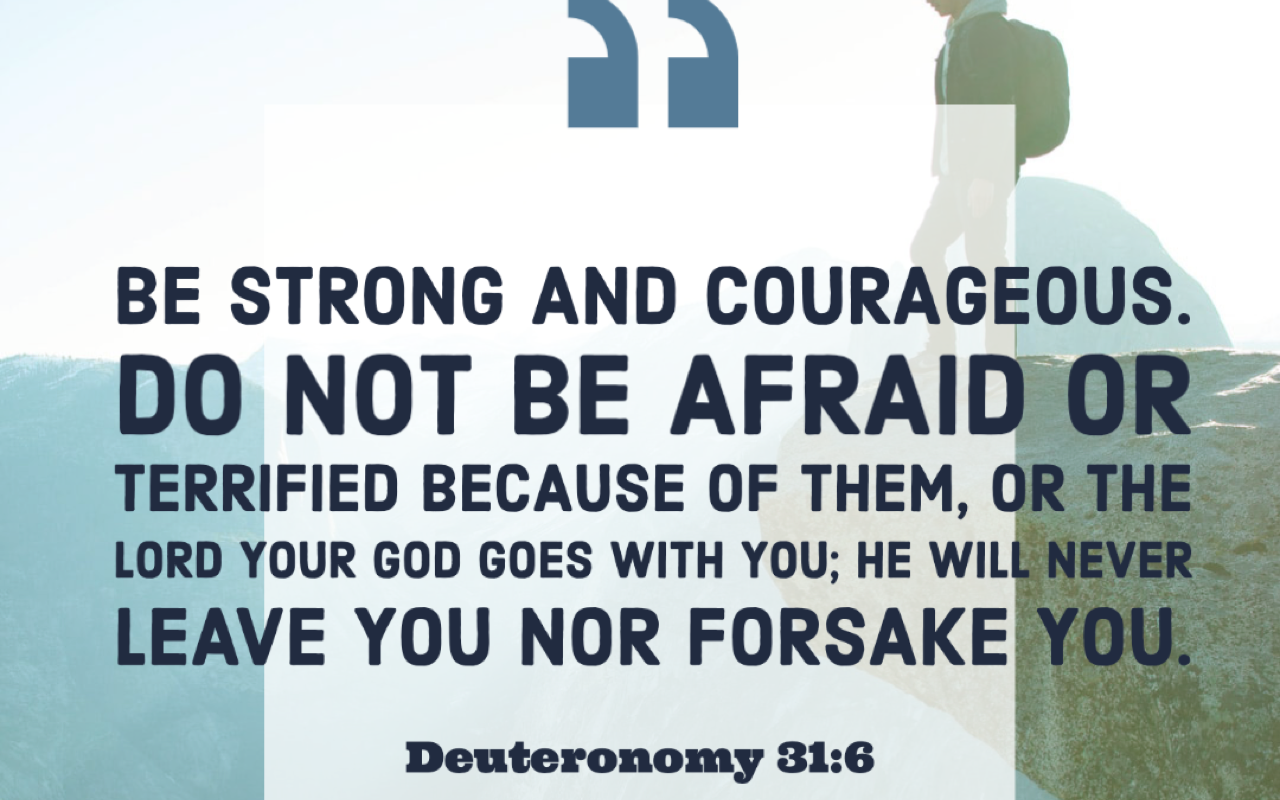 King James Bible(KJV) - Daily Verses - App on Amazon Appstore