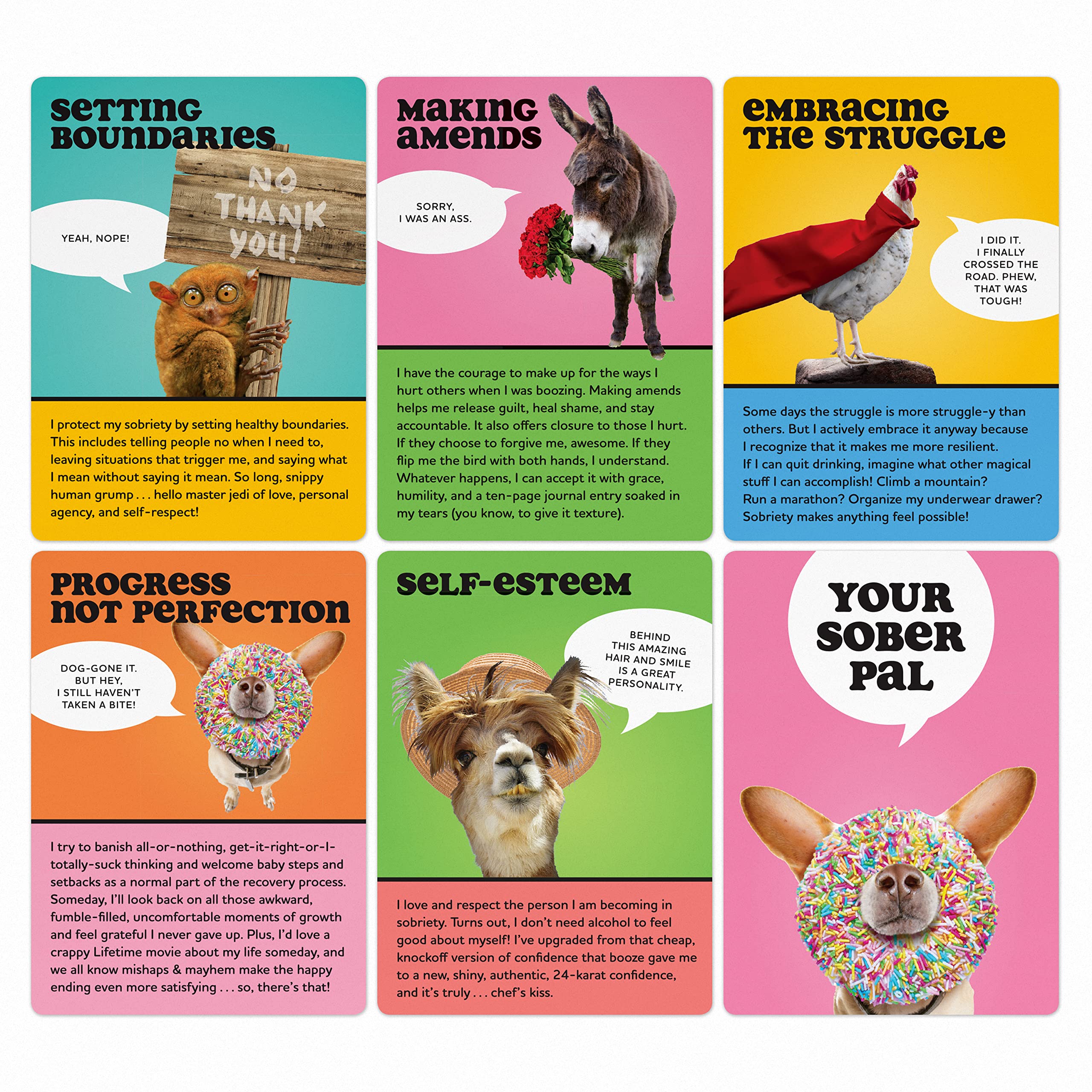 Snapklik.com : Your Sober Pal Sobriety Affirmation Deck: 50 Daily ...