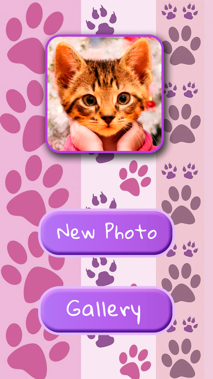 Cat Head Photo Booth - App on Amazon Appstore