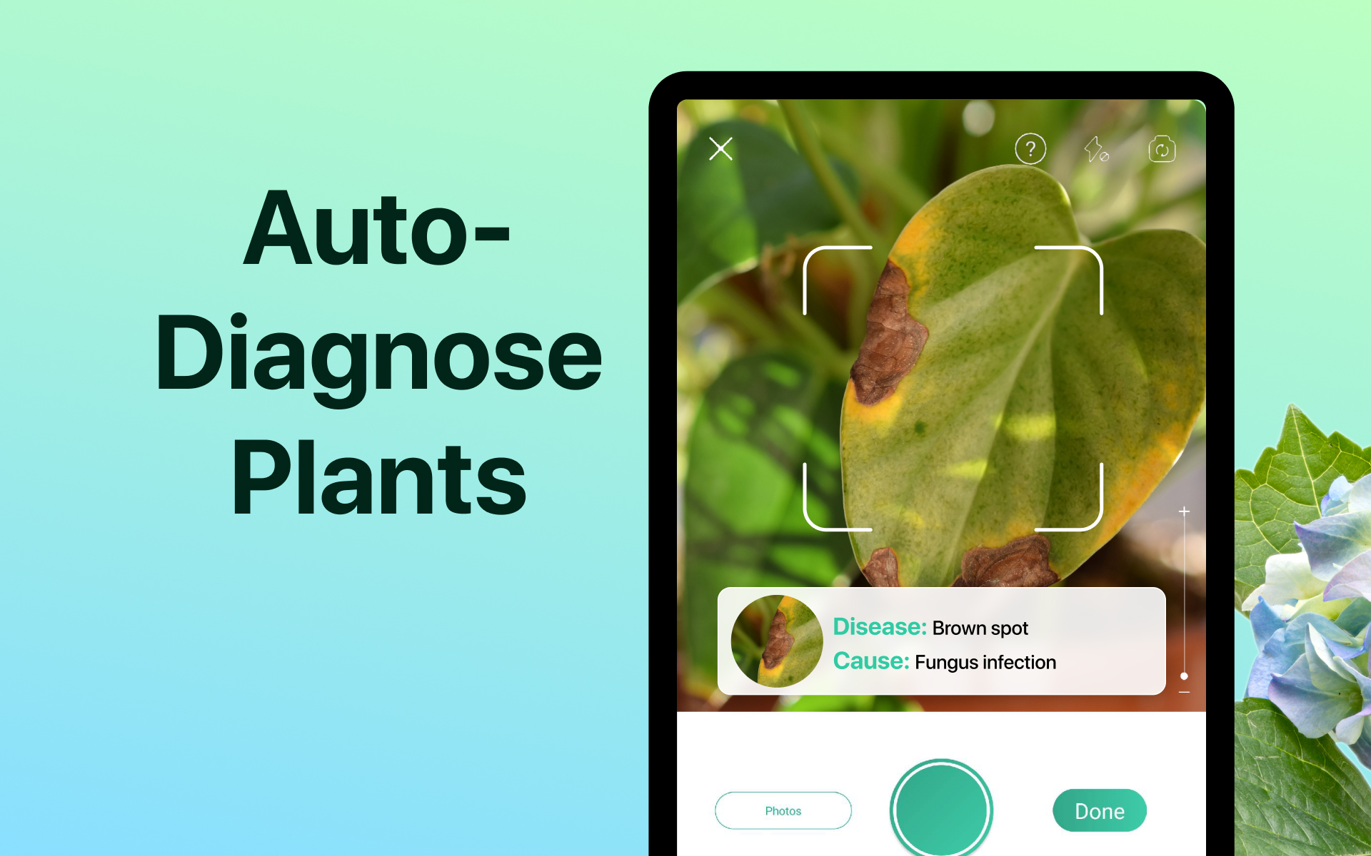 PictureThis - Plant Identifier - App on Amazon Appstore