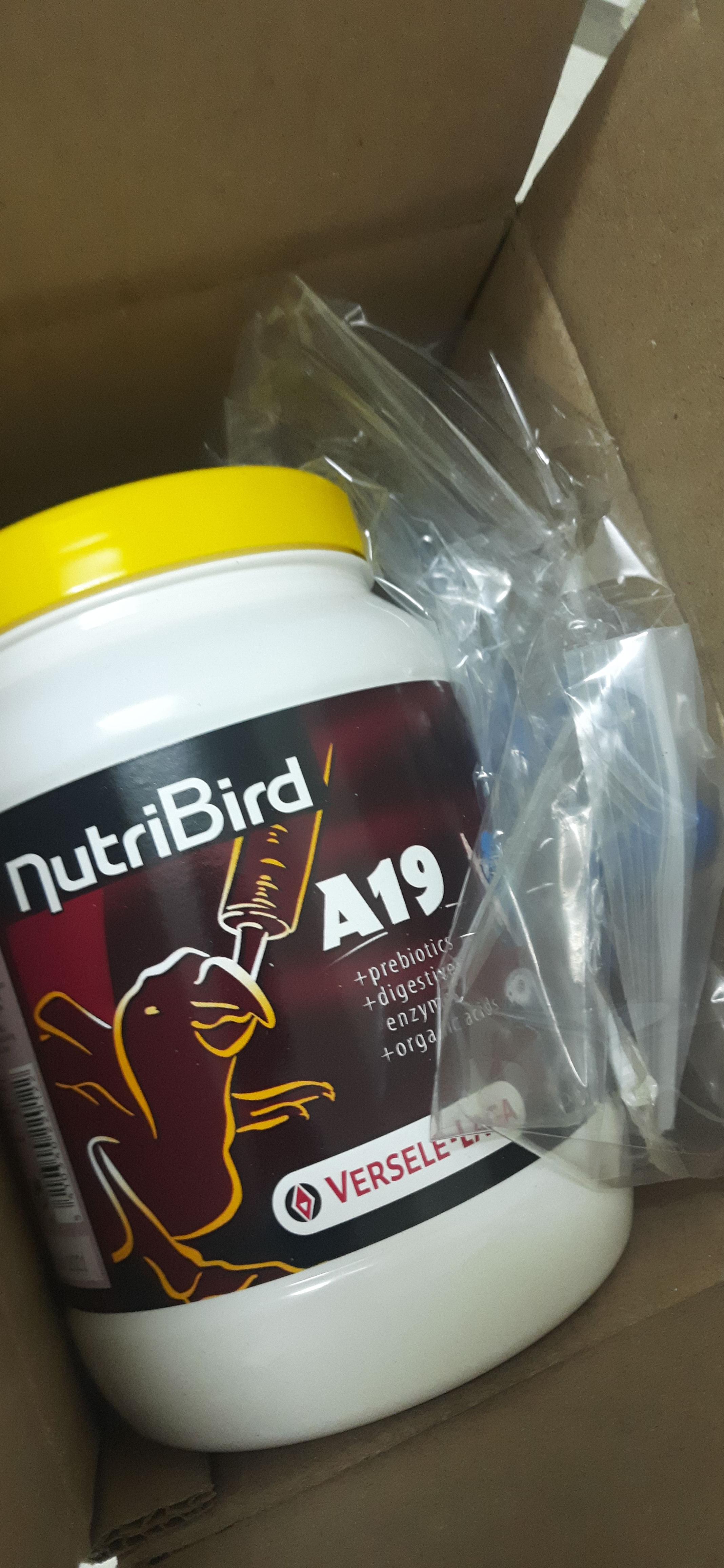 Versele Laga NutriBird A19 Hand-Rearing Food for Macaws, African Greys ...