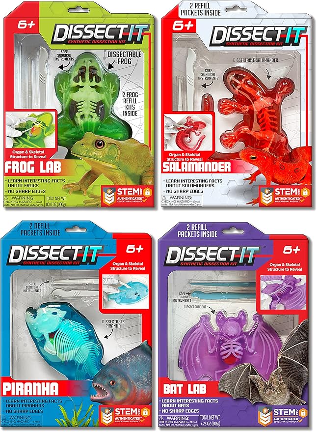 Amazon.com: Dissect-It Simulated Synthetic Lab Dissection STEM Toy ...