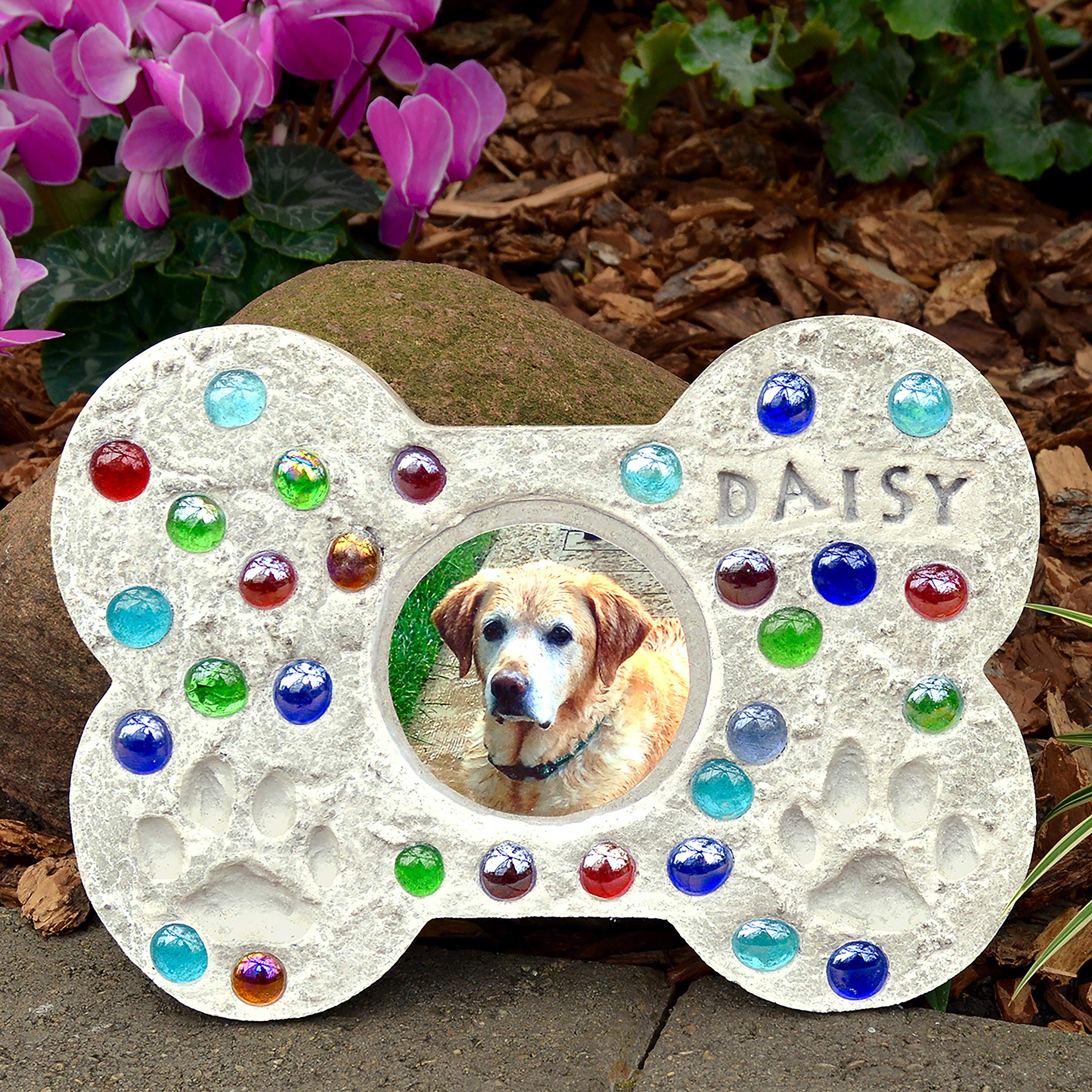 Dog Stepping Stones Design Dog Stepping Stones | BarkPark