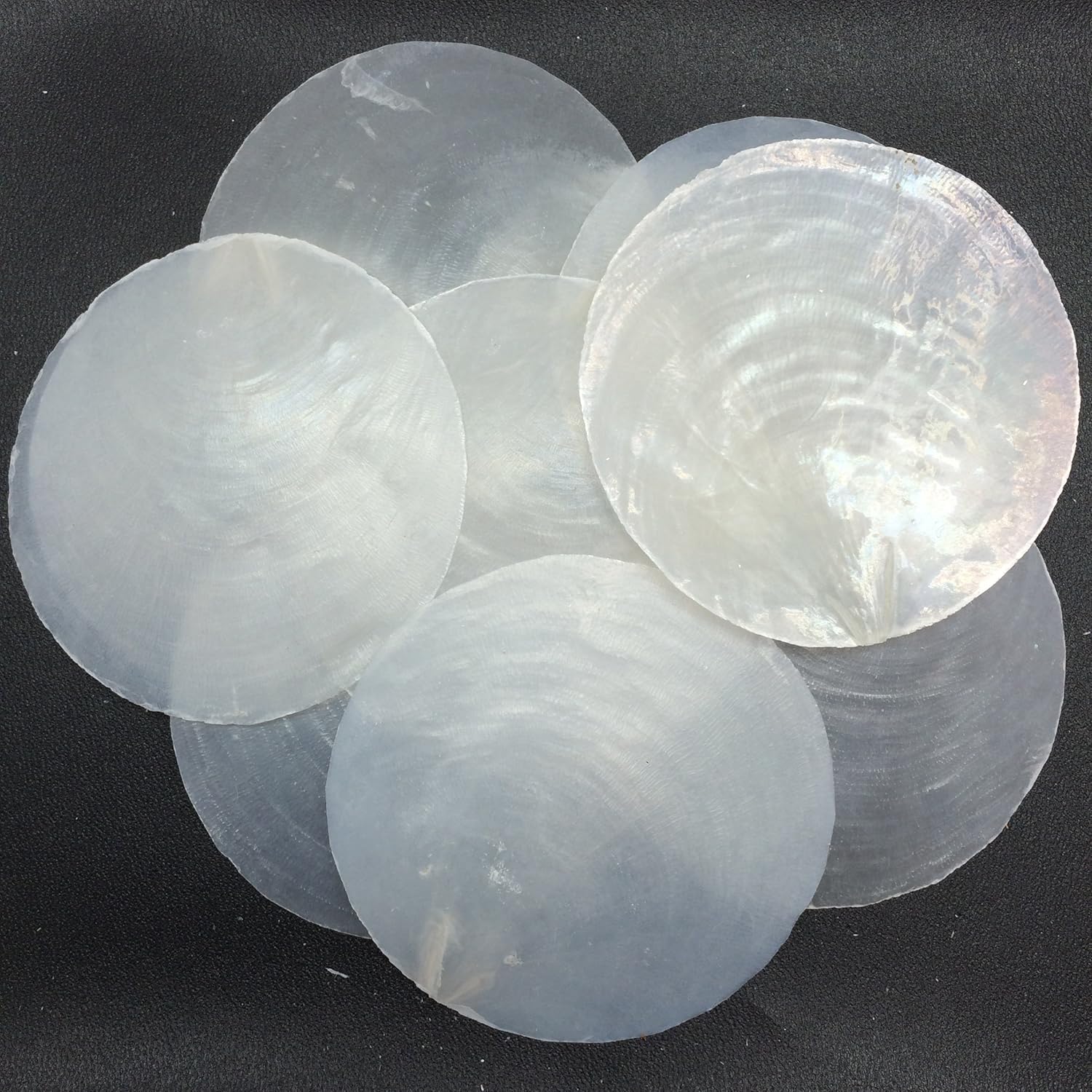 PEPPERLONELY 10 PC Round Natural Capiz Sea Shells, 3 Inch : Amazon.ca: Home