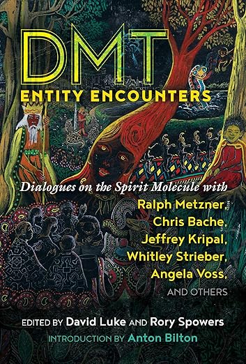 Amazon.com: DMT Entity Encounters: Dialogues on the Spirit Molecule with Ralph Metzner, Chris ...