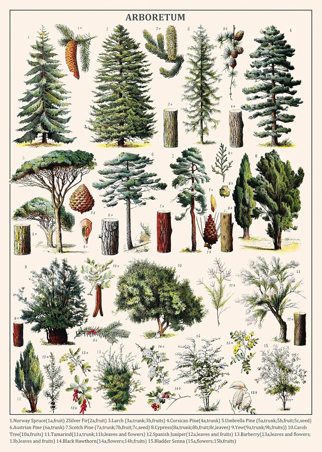 Amazon.com: Vintage Plant Puzzle for Adults 1000 Pieces, Tree Jigsaw ...