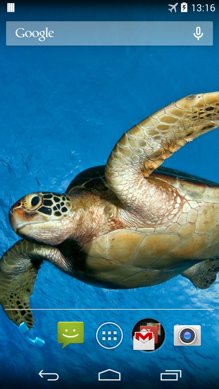 Sea Turtle Live Wallpaper - App on the Amazon Appstore