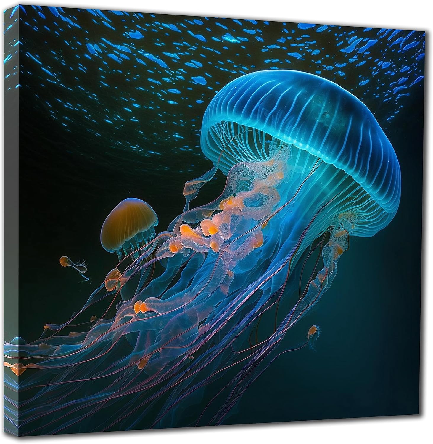 Amazon.com: Colorful Jellyfish Canvas Wall Art - Multicoloured Lighted ...