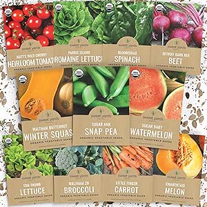 Amazon.com : Organic Heirloom Vegetable Garden Seeds Variety Pack - Non ...