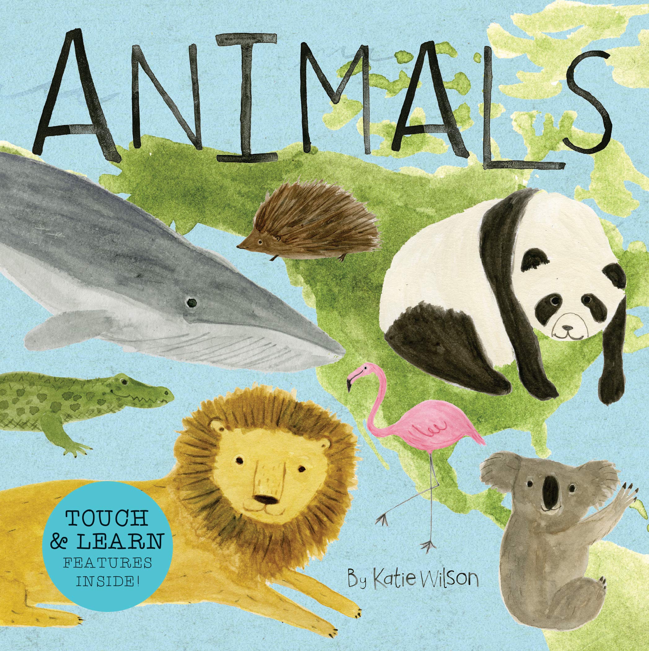 Animals: Touch, Listen, & Learn Features Inside! (Discovery Concepts ...