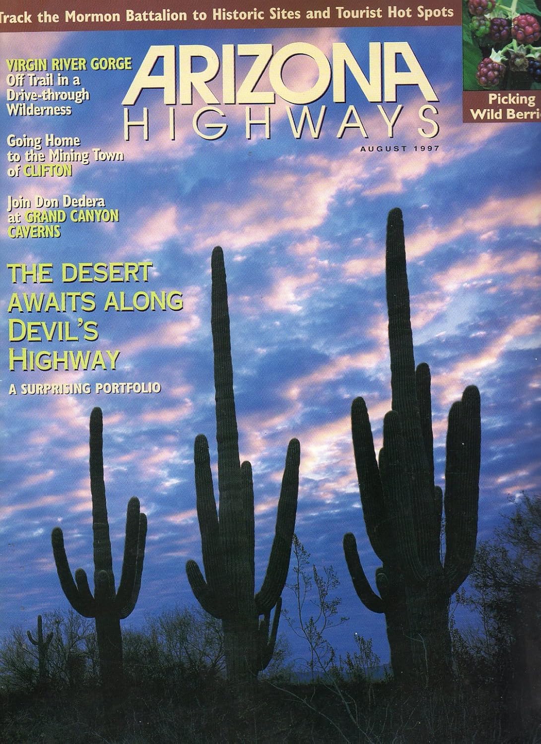 Arizona Highways August 1997 VOL 73 No 8 (THE DESERT AWAITS ALONG DEVIL ...