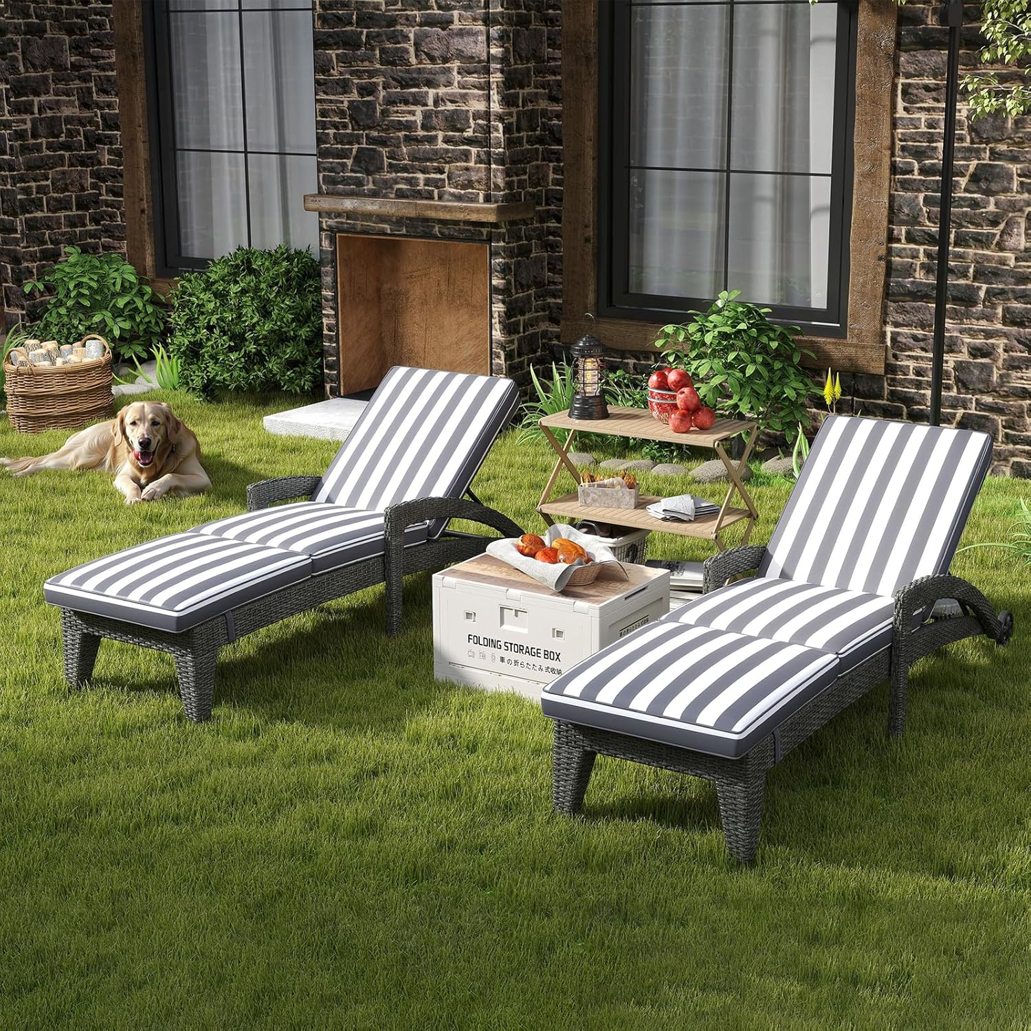 Amazon.com : DAYARUS Chaise Lounge Chairs Set of 2, Upholstered 5 ...