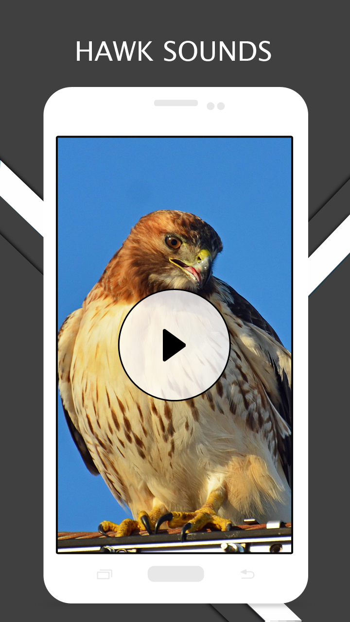 Hawk Sounds And Ringtones - App on Amazon Appstore