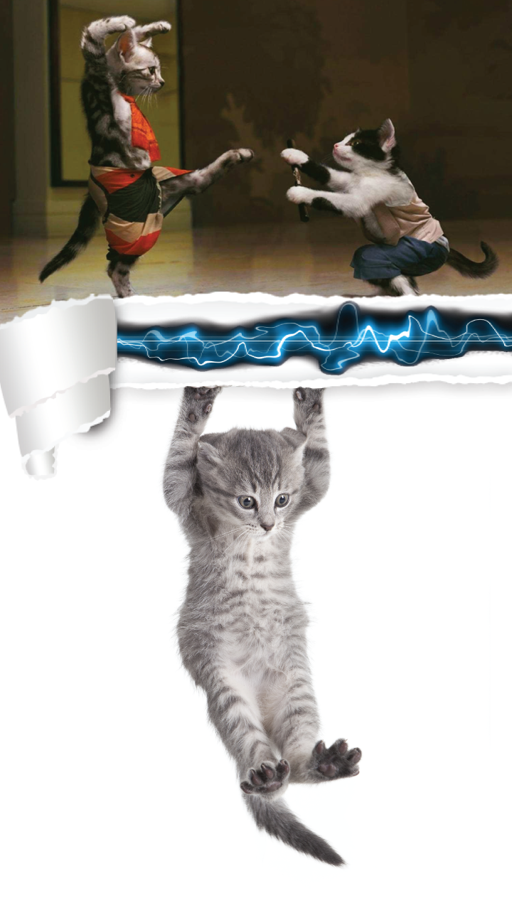 Cat Sounds Games - App on Amazon Appstore