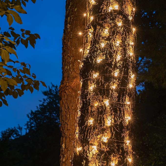 Amazon.com: Kringle Traditions Clear Christmas Trunk Wrap Lights with ...
