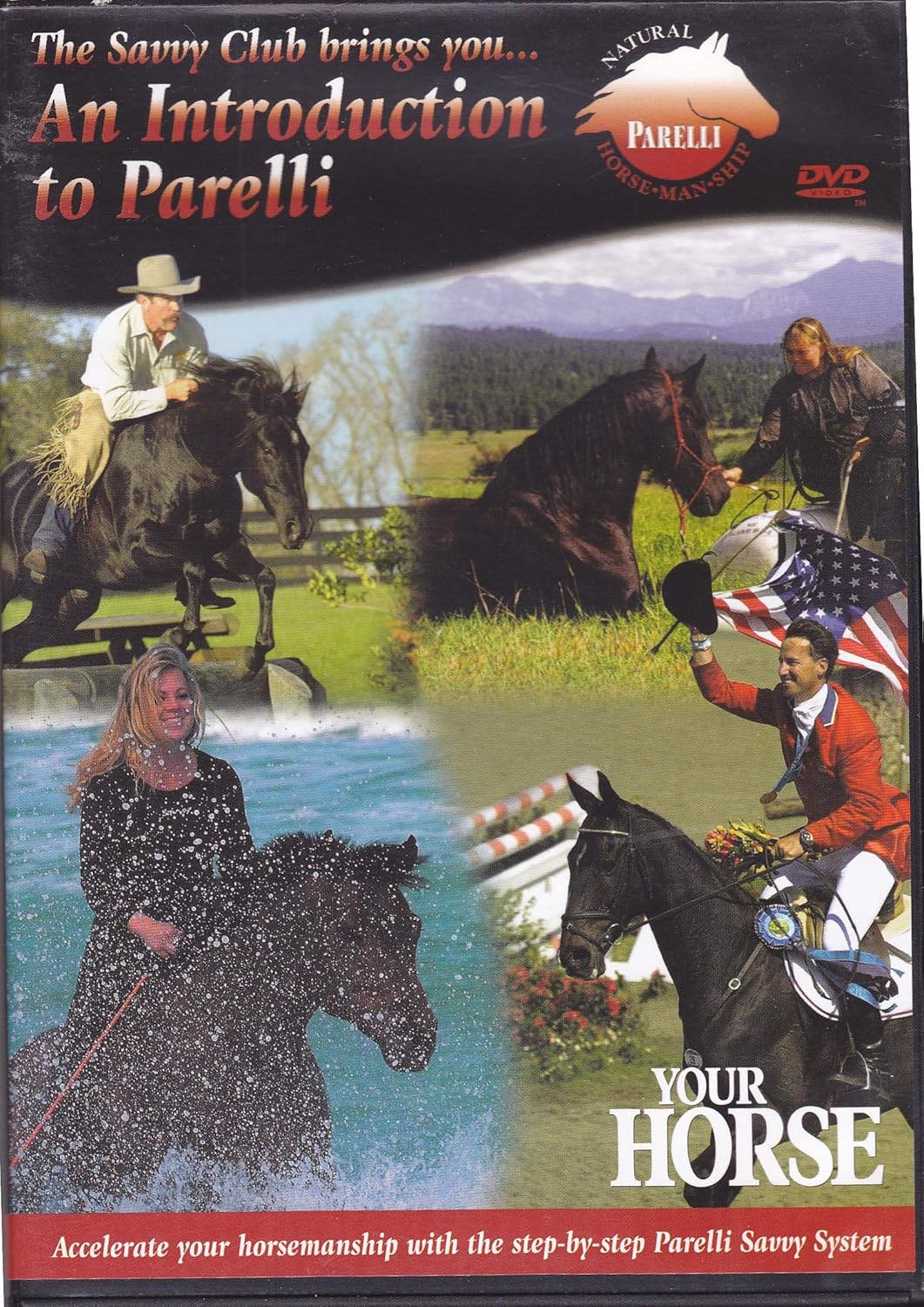 Amazon.com: An Introduction to Parelli-The Savvy Club DVD : Movies & TV