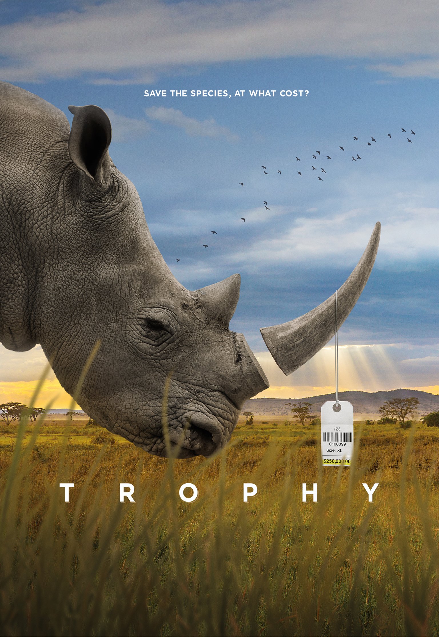 Amazon.com: Trophy [DVD] : Shaul Schwarz, Christina Clusiau, John Hume ...