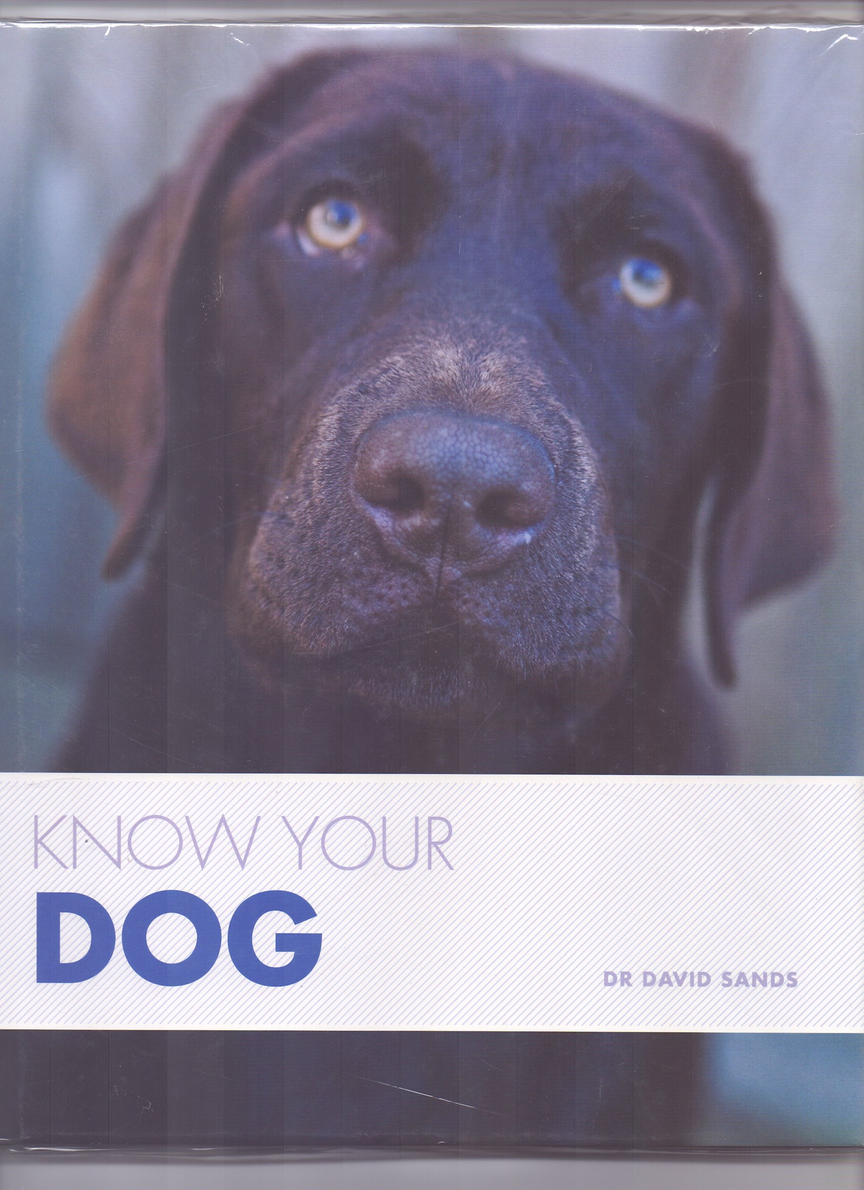 KNOW YOUR DOG : David Sands: Amazon.in: Books