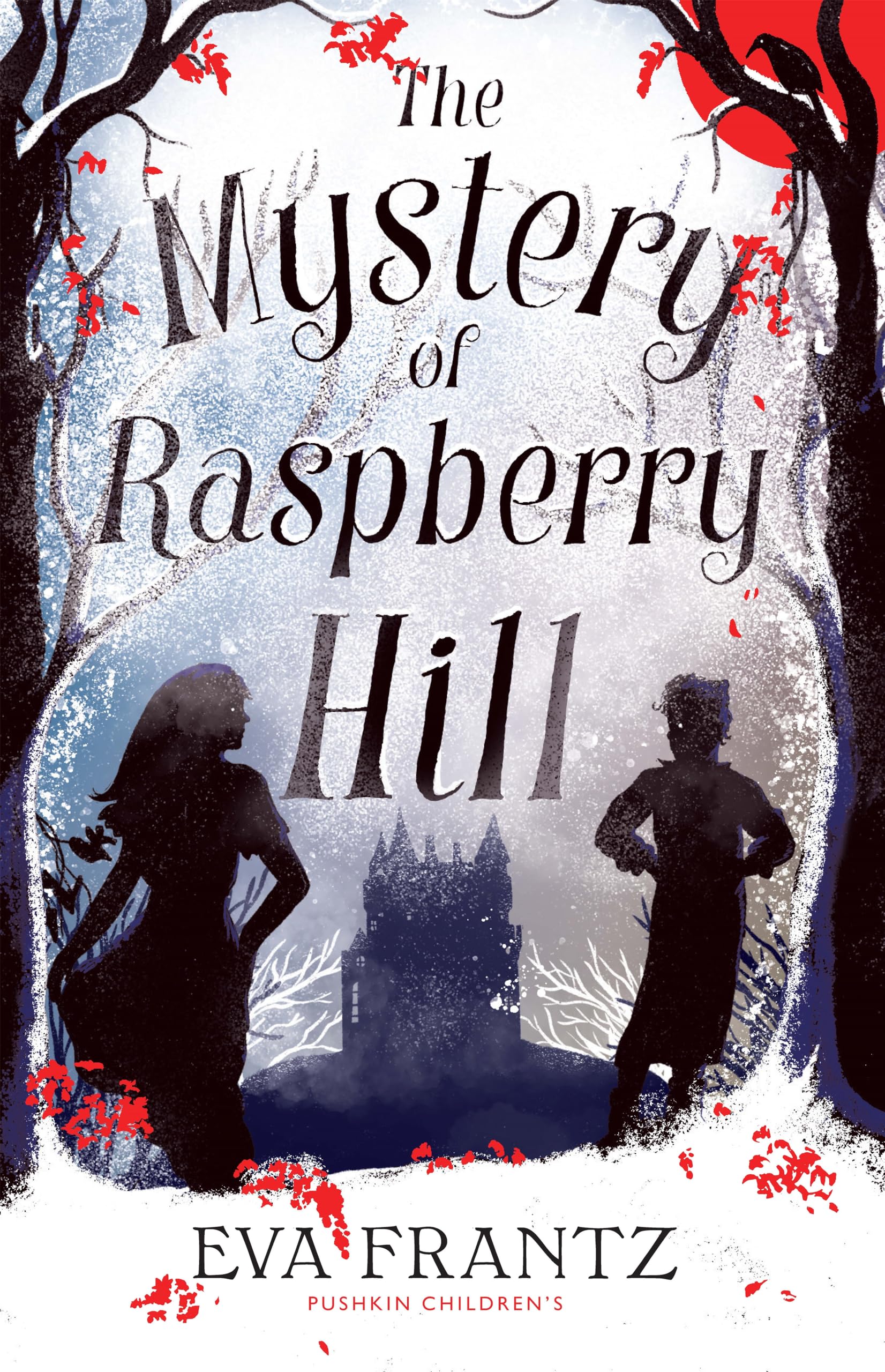 The Mystery of Raspberry Hill: FRANTZ, EVA, Prime, Annie: 9781782693413 ...