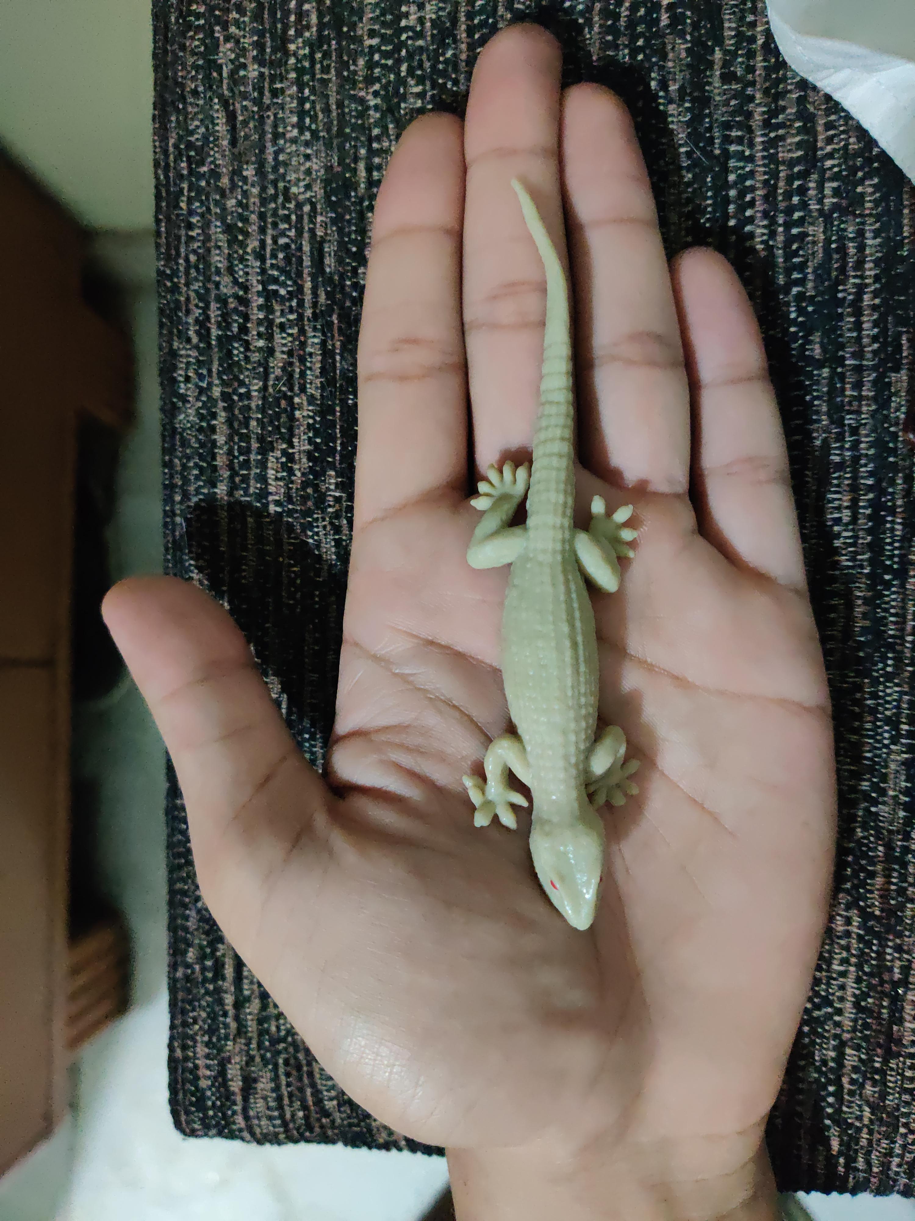 Buy SKA Real Looking Rubber Lizard Toy (Pack of 1) Online at Low Prices ...